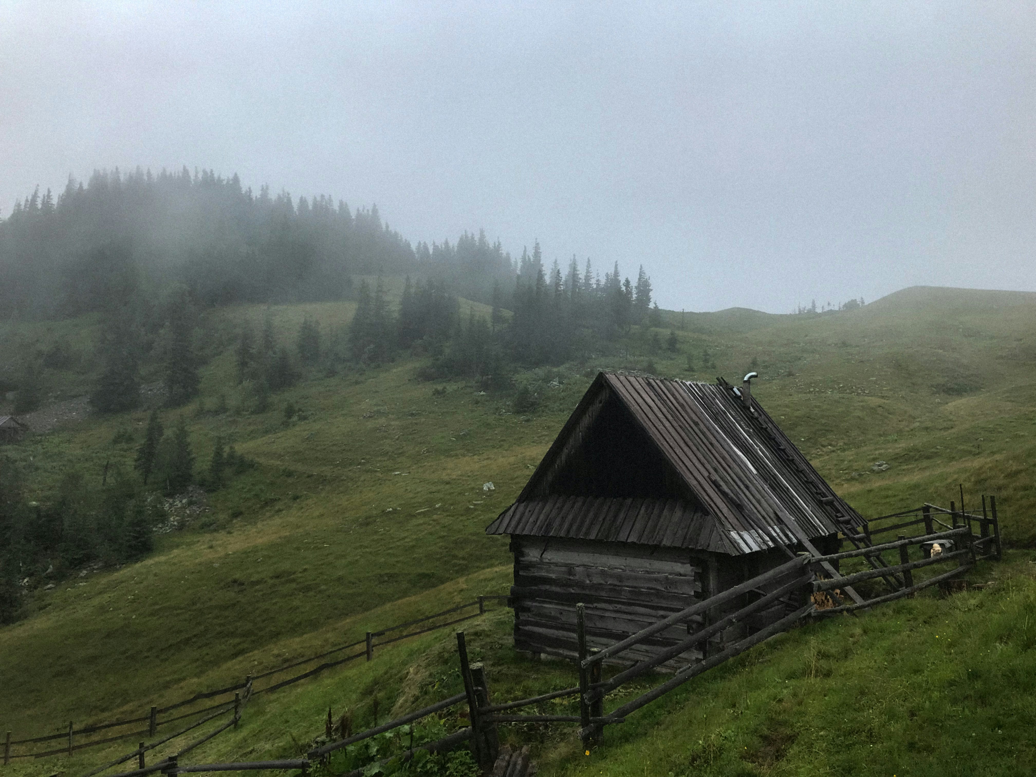 Photo by Mykyta Shamota🇺🇦 with Apple iPhone 7