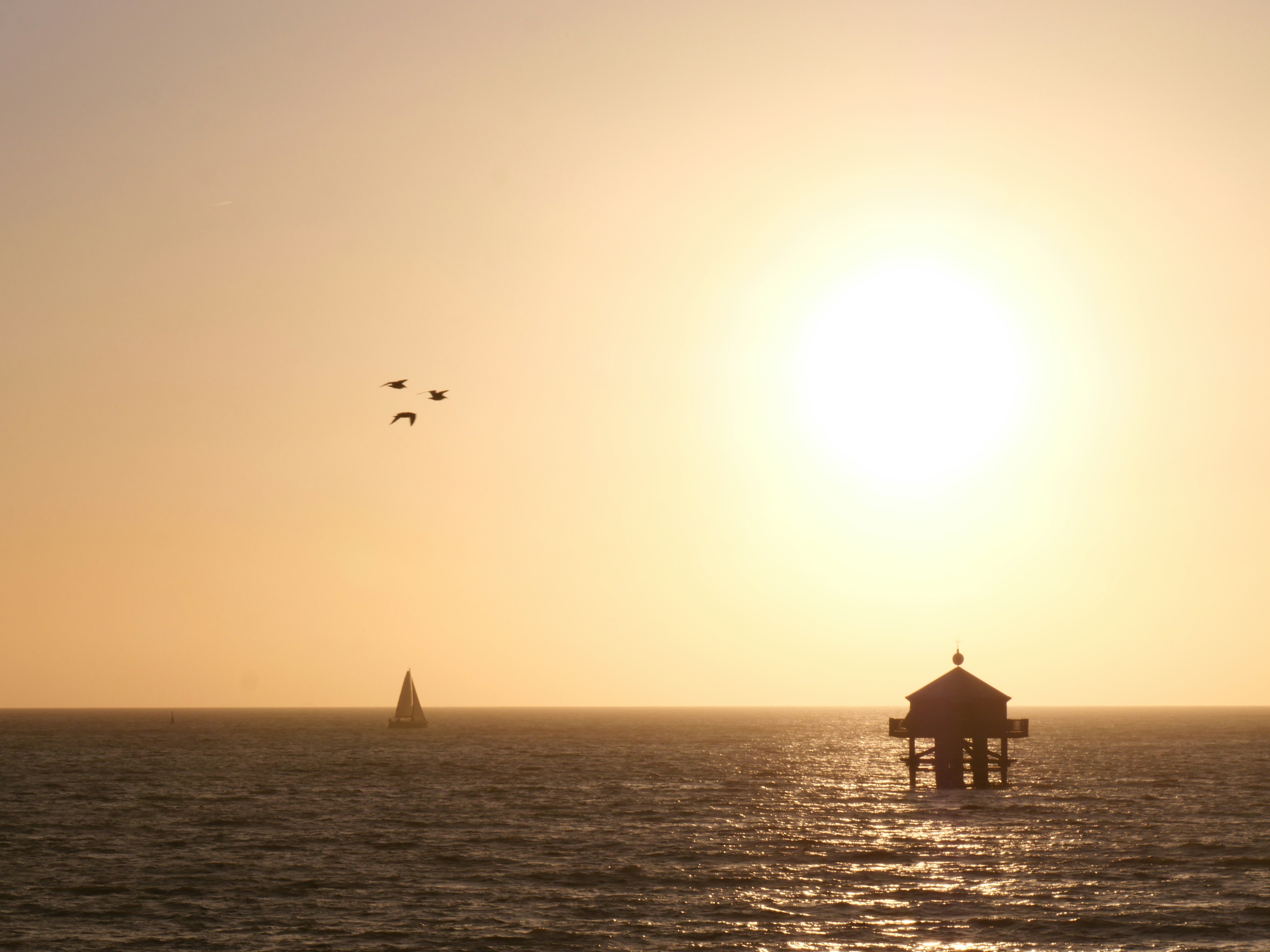 Silhouetted pier stands against a golden sunset, with a sailboat gliding in the distance and birds soaring above the tranquil waters.