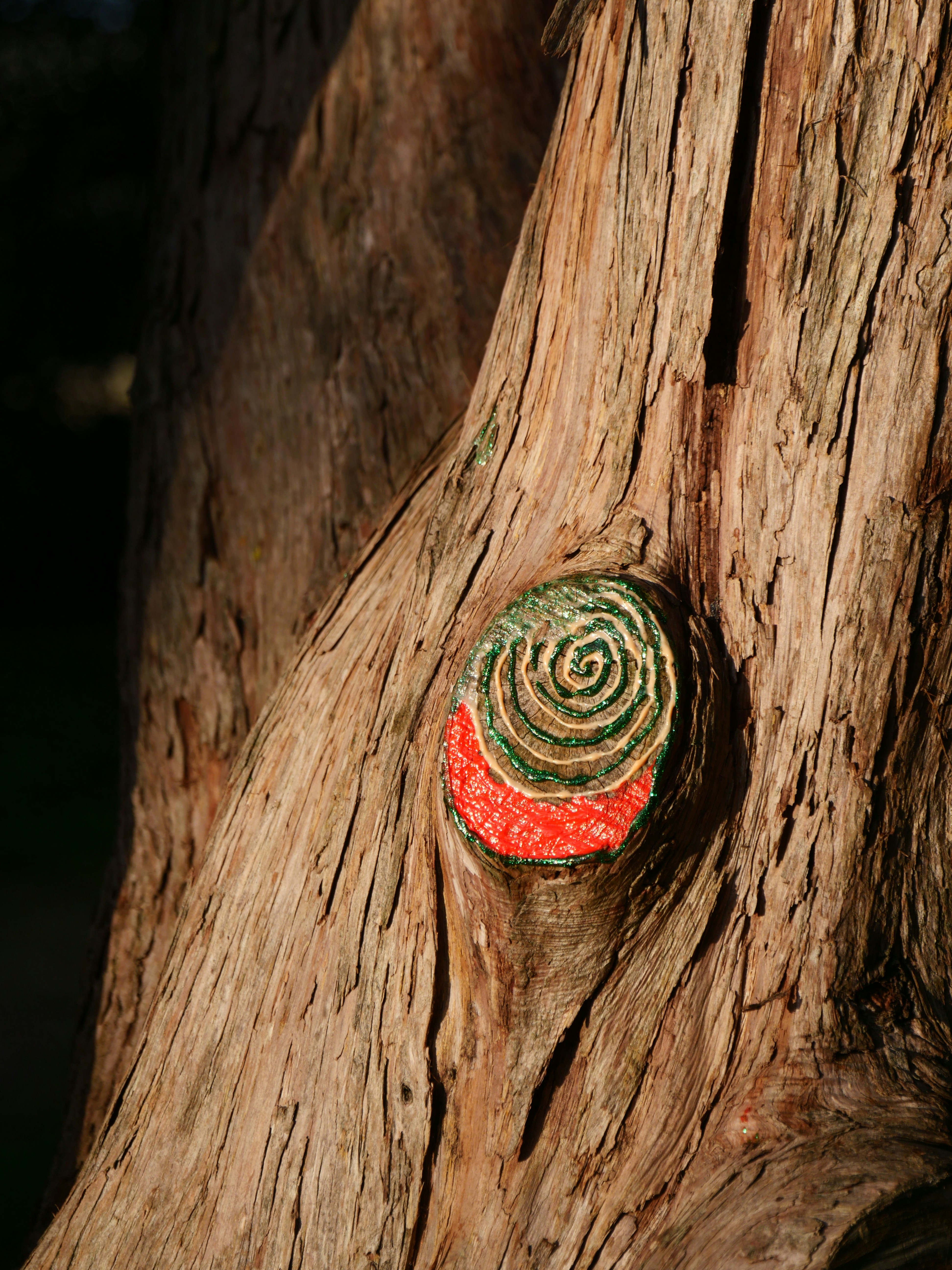 Intricately carved tree stump with colorful spiral design contrasting against the textured bark. The artwork invites curiosity and appreciation for nature's artistry.