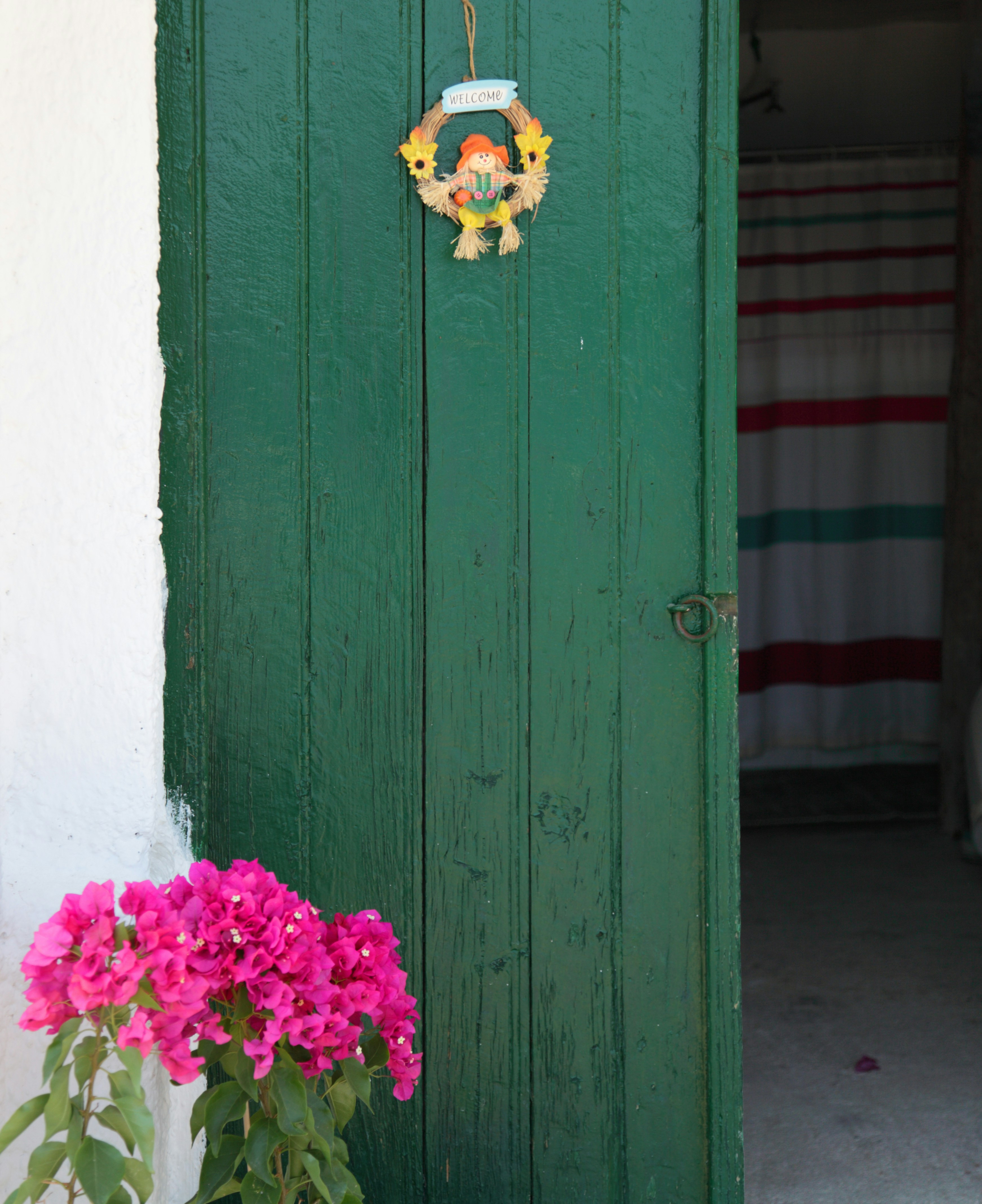 Vibrant pink bougainvillea blooms beside a rustic green door adorned with a cheerful 'Welcome' wreath.