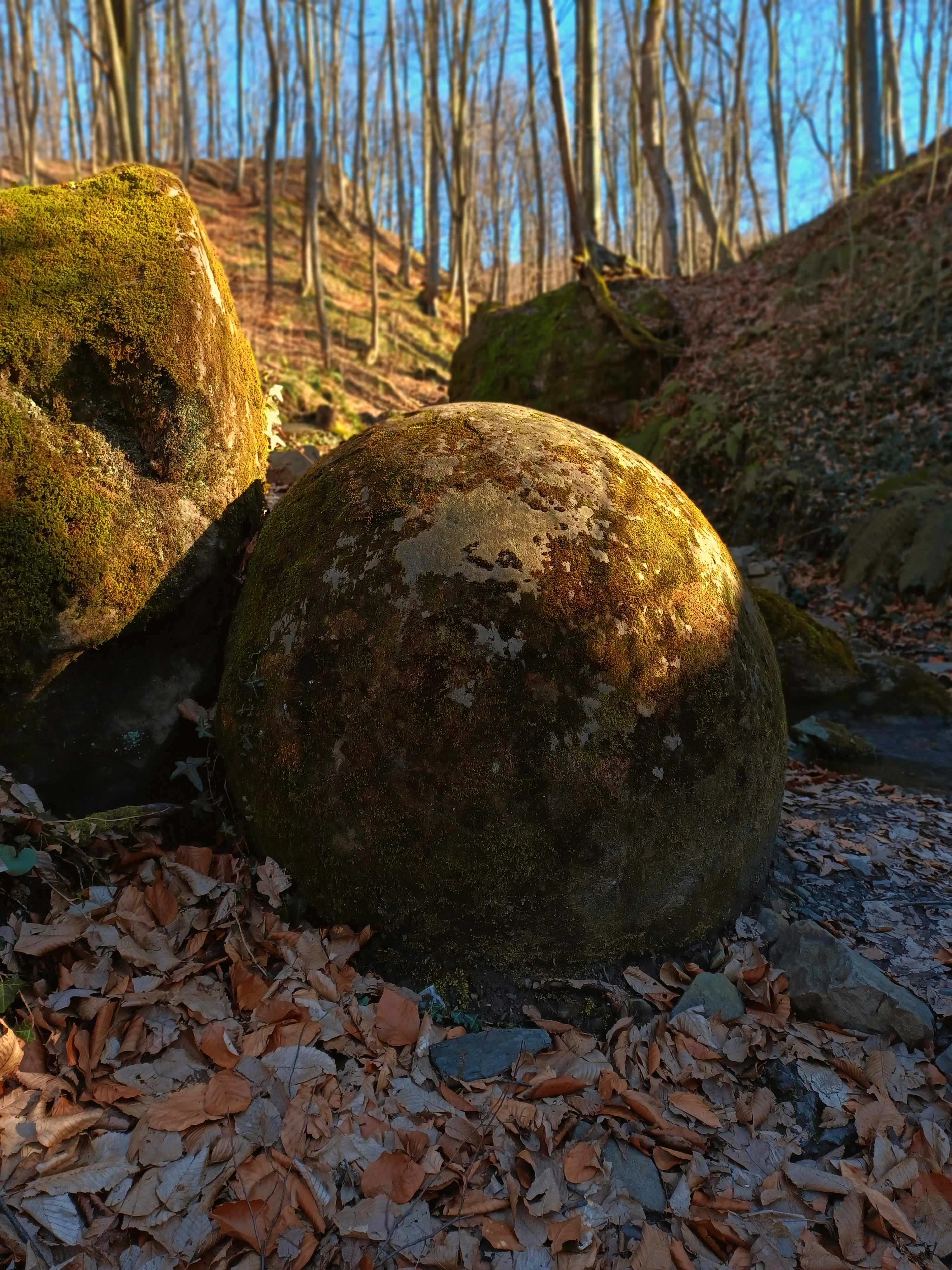 A group of large rocks in a forest photo – Free Bosnia and herzegovina ...
