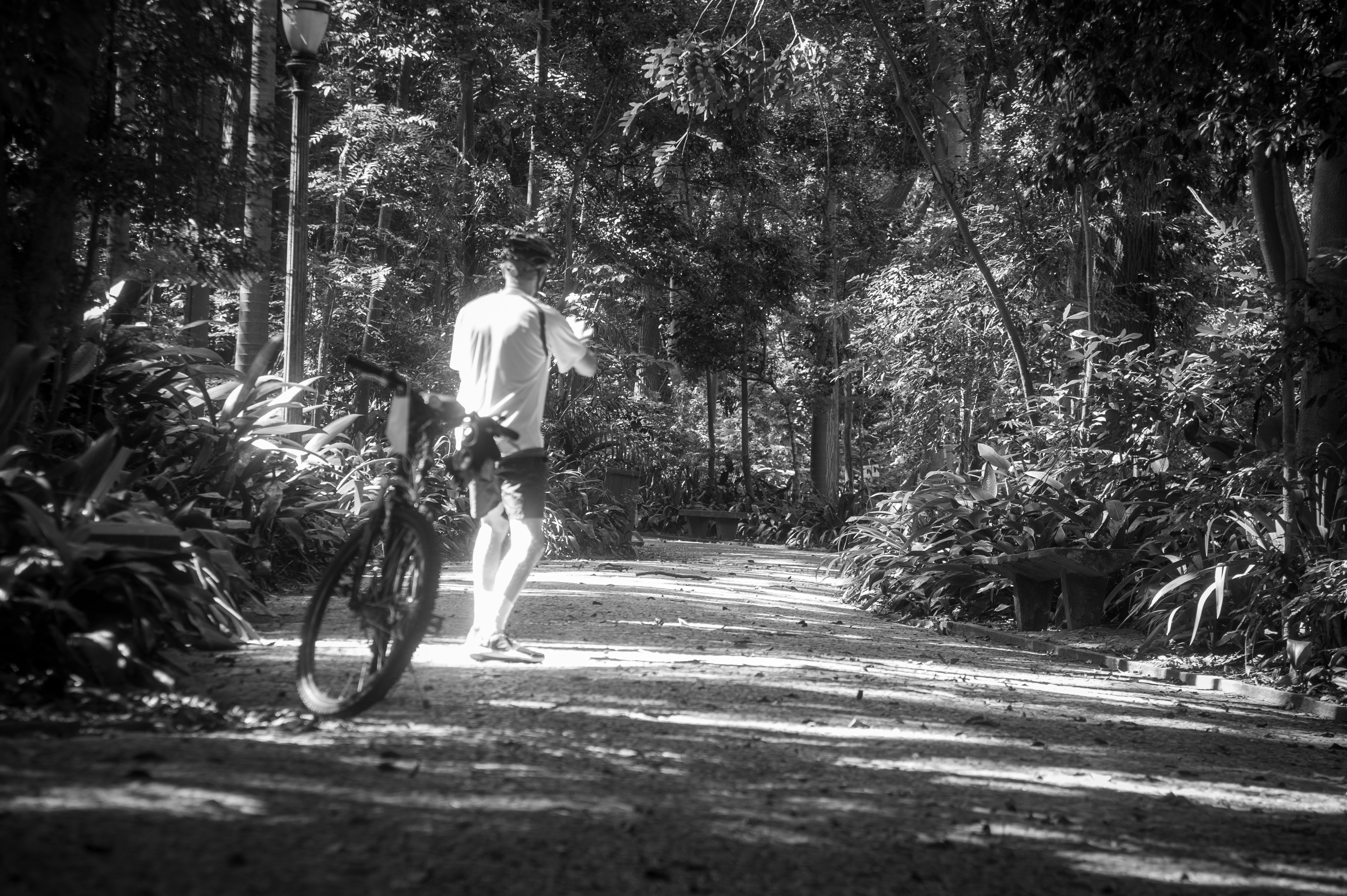 Parque Trianon Masp, BrazilAnderson Menezes Da Silva