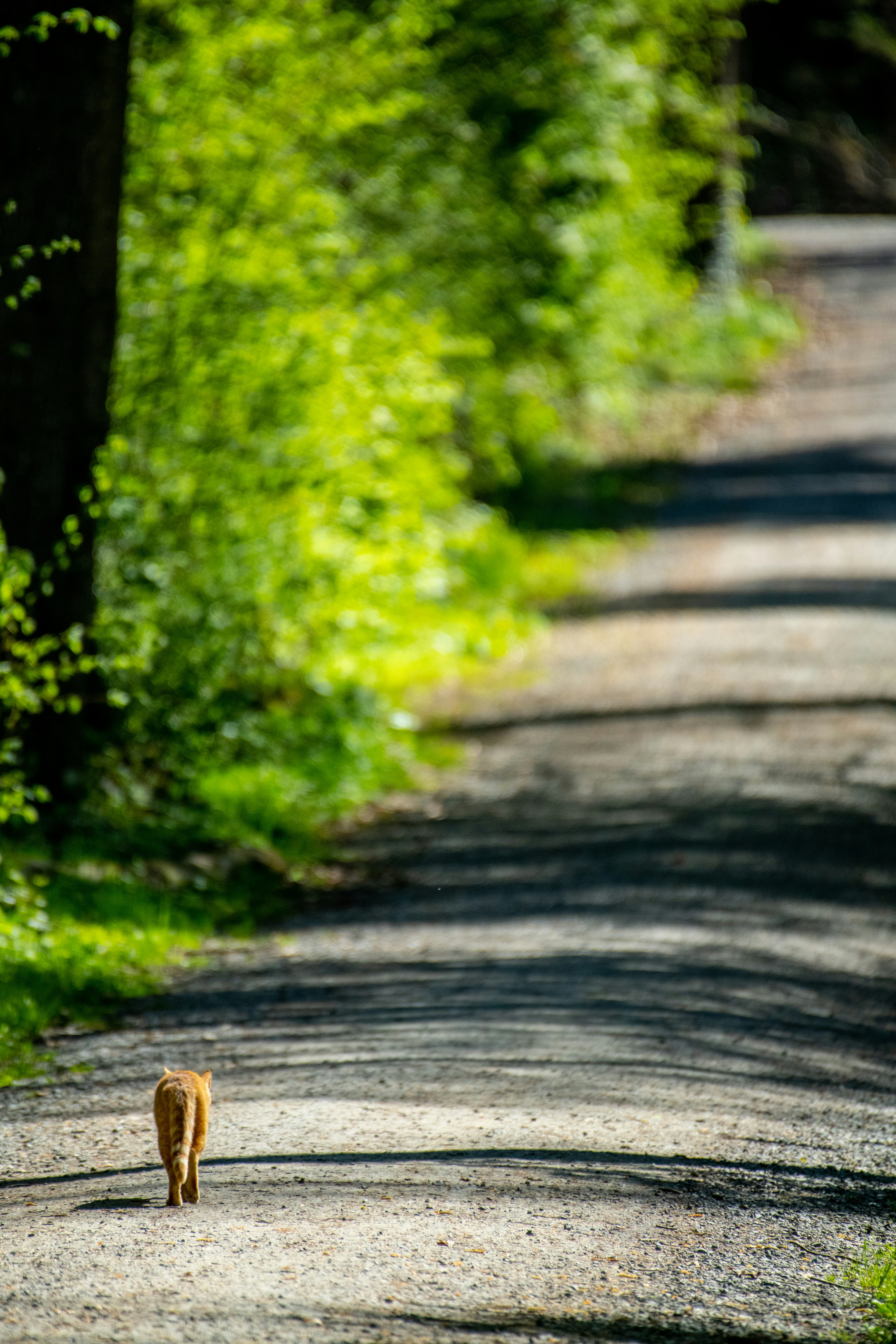 Photo by Peter Wormstetter with Nikon D850
