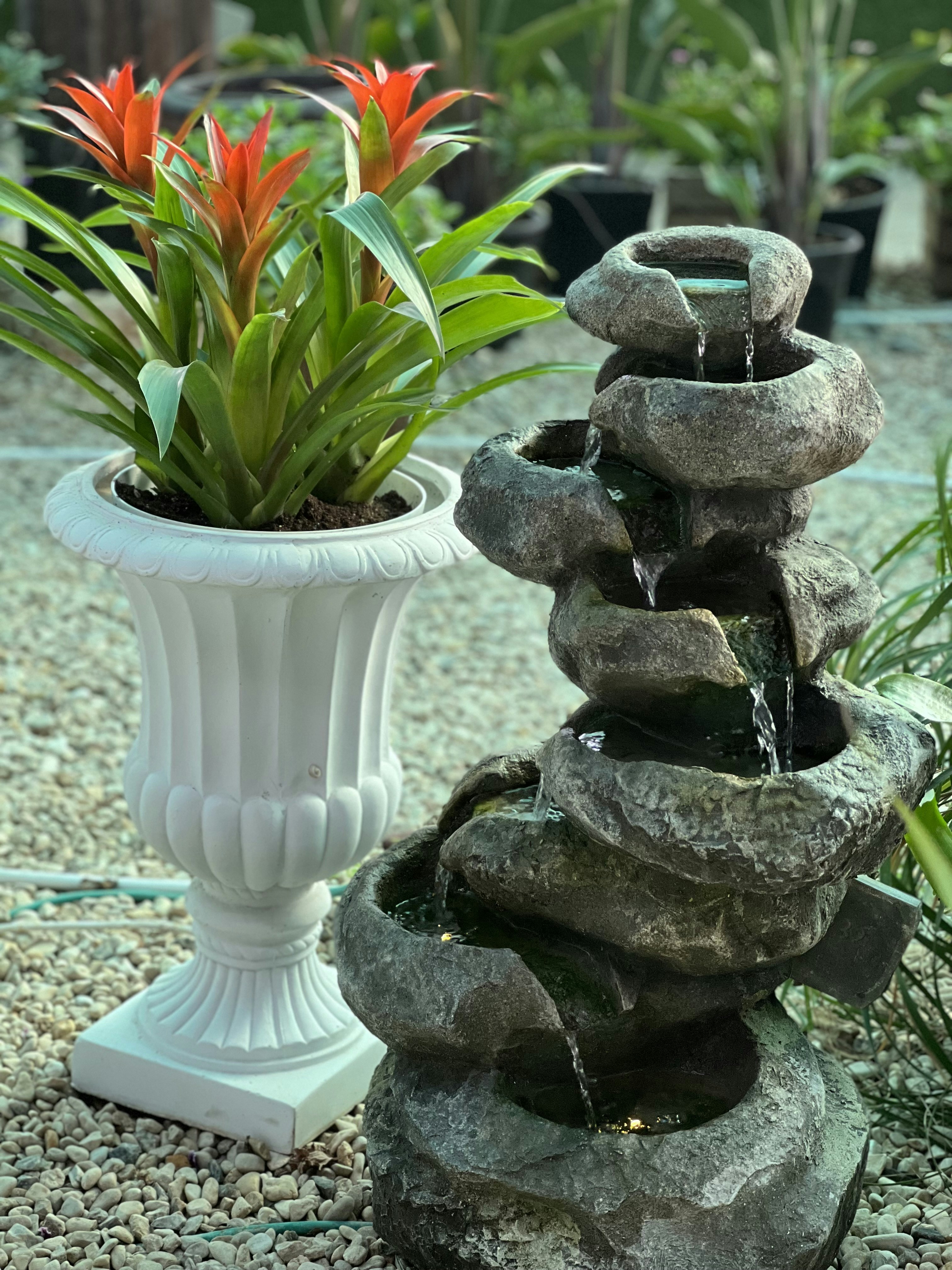 Flame-tipped Bromeliads Framing a Quiet Stone Cascade