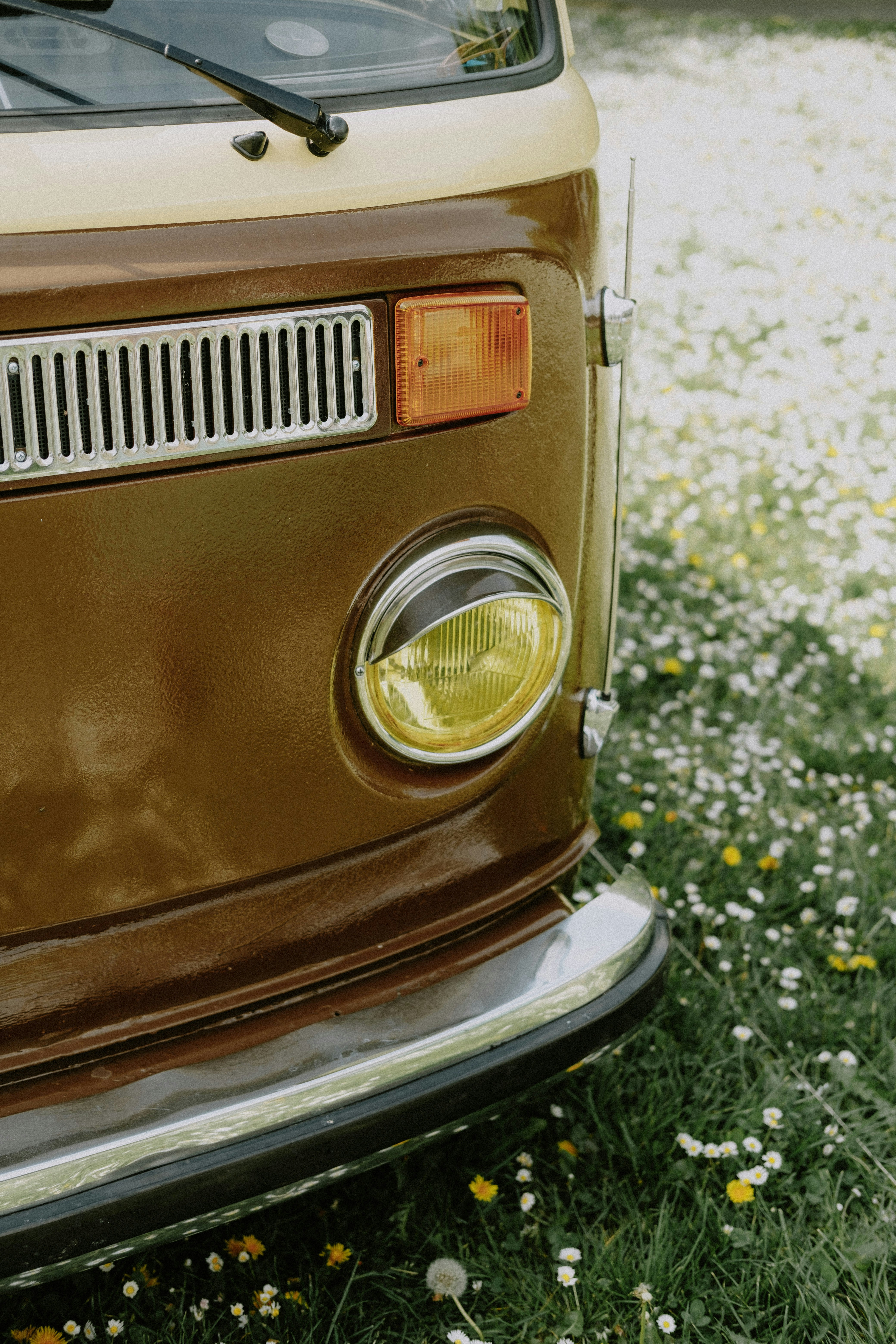 Close-up of a vintage Volkswagen van's front detailing, showcasing its iconic round headlight and chrome accents against a backdrop of wildflowers.