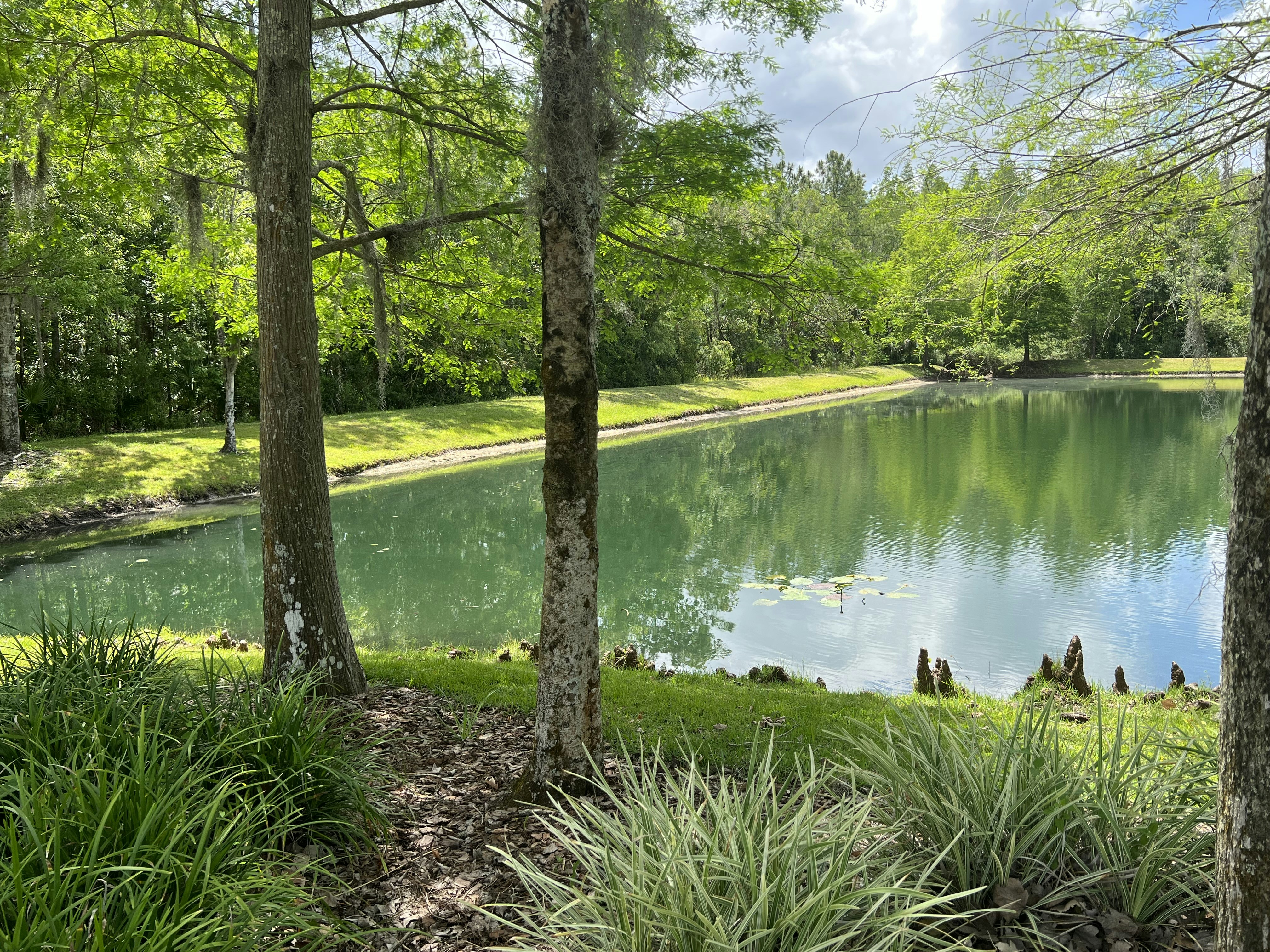 Un lac entouré d’arbres photo – Photo Plante Gratuite sur Unsplash