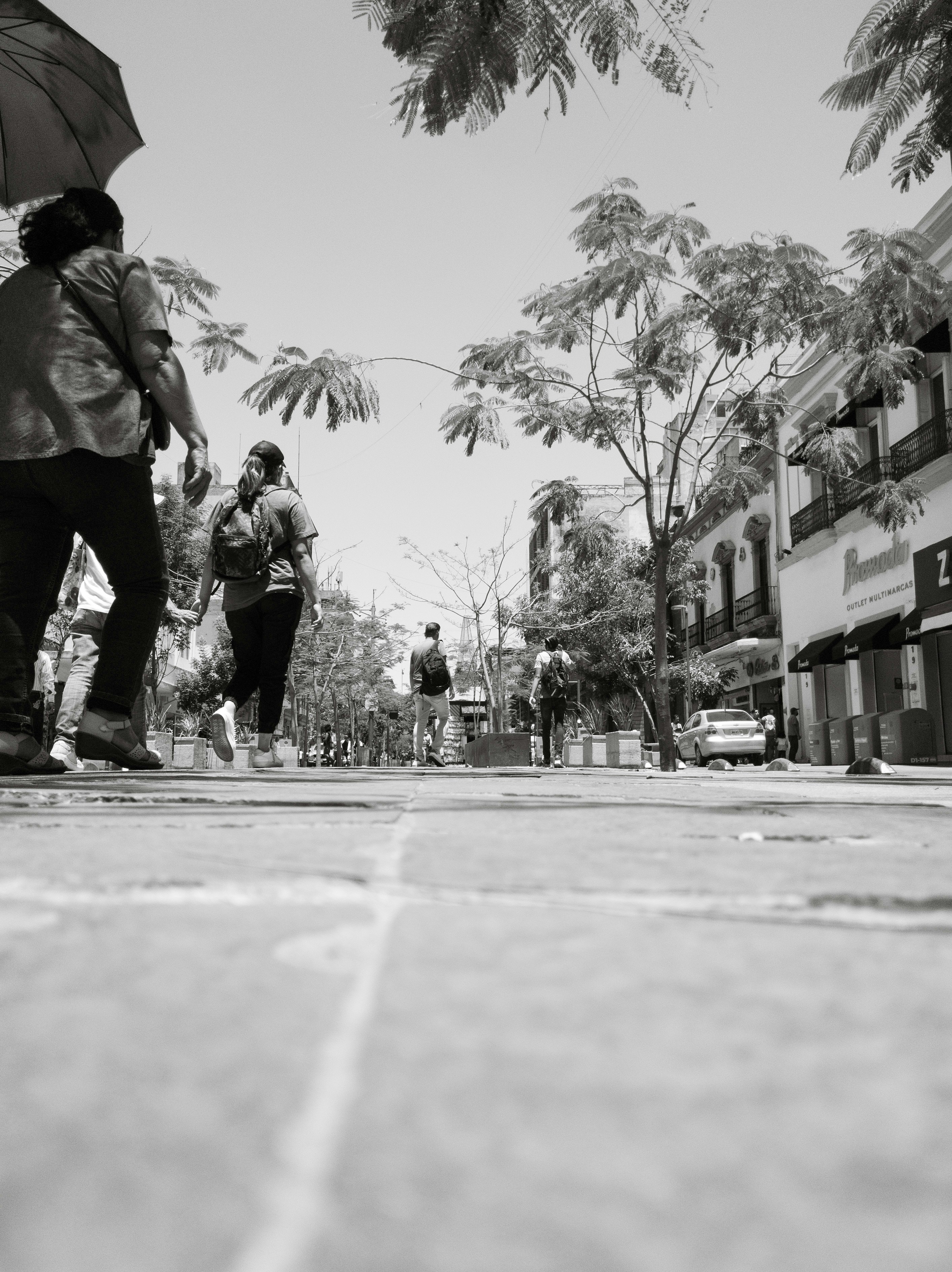 Monochrome Pedestrian Pulse on a City Street