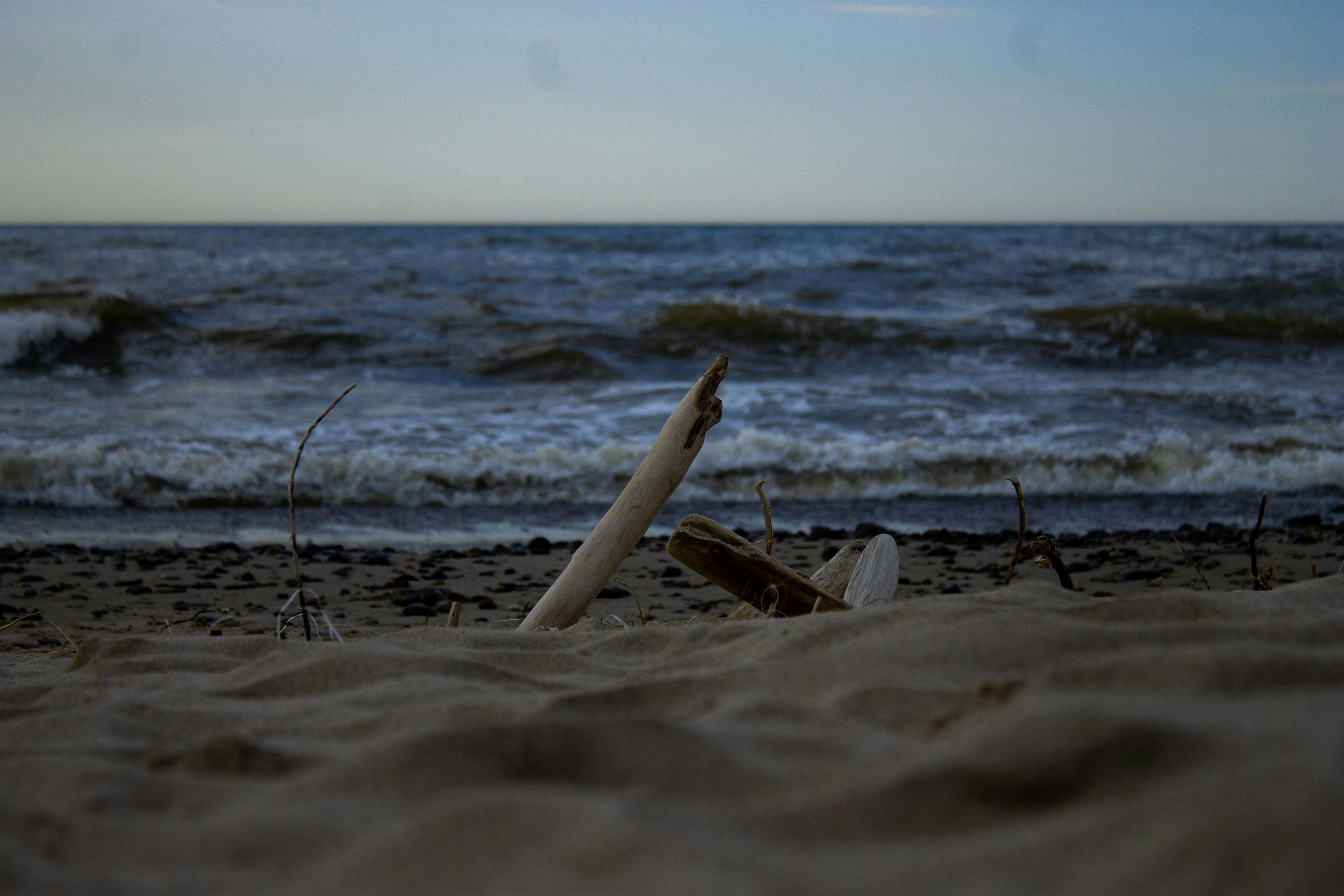 A group of sticks on a beach photo – Free Grey Image on Unsplash