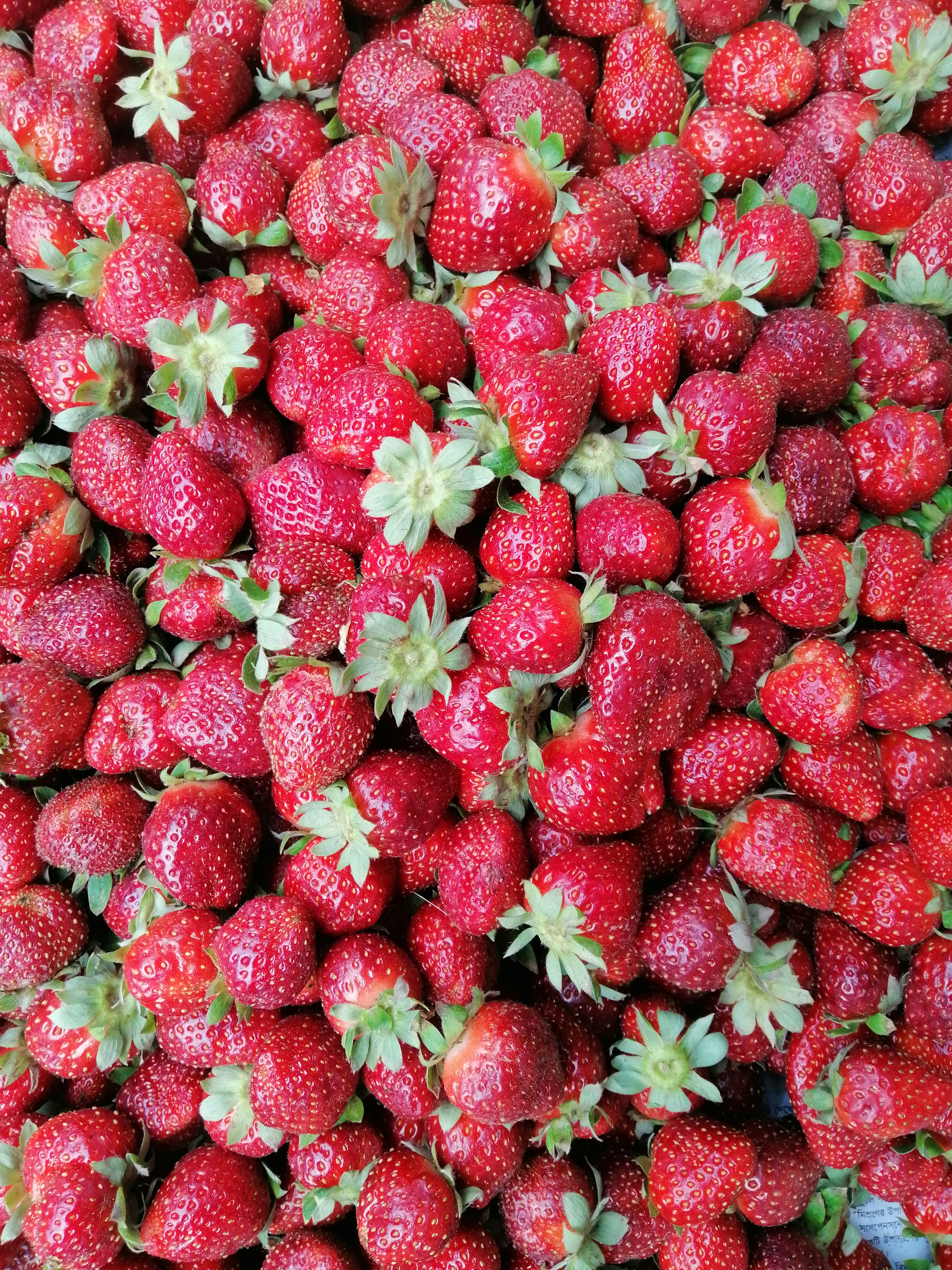 Chakaria Upazila Photos | Télécharger des images gratuites sur Unsplash