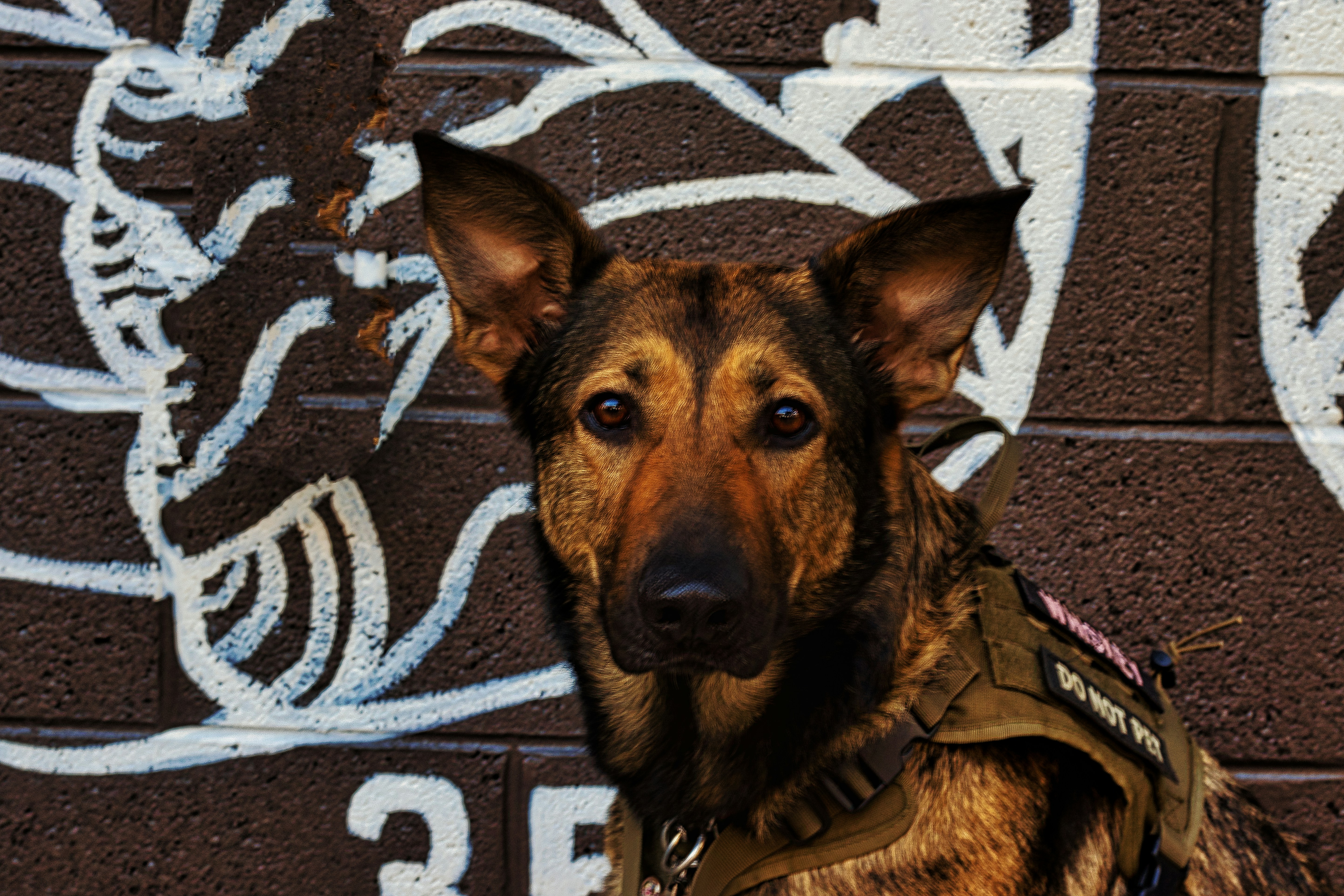 a dog sitting on a brick floor