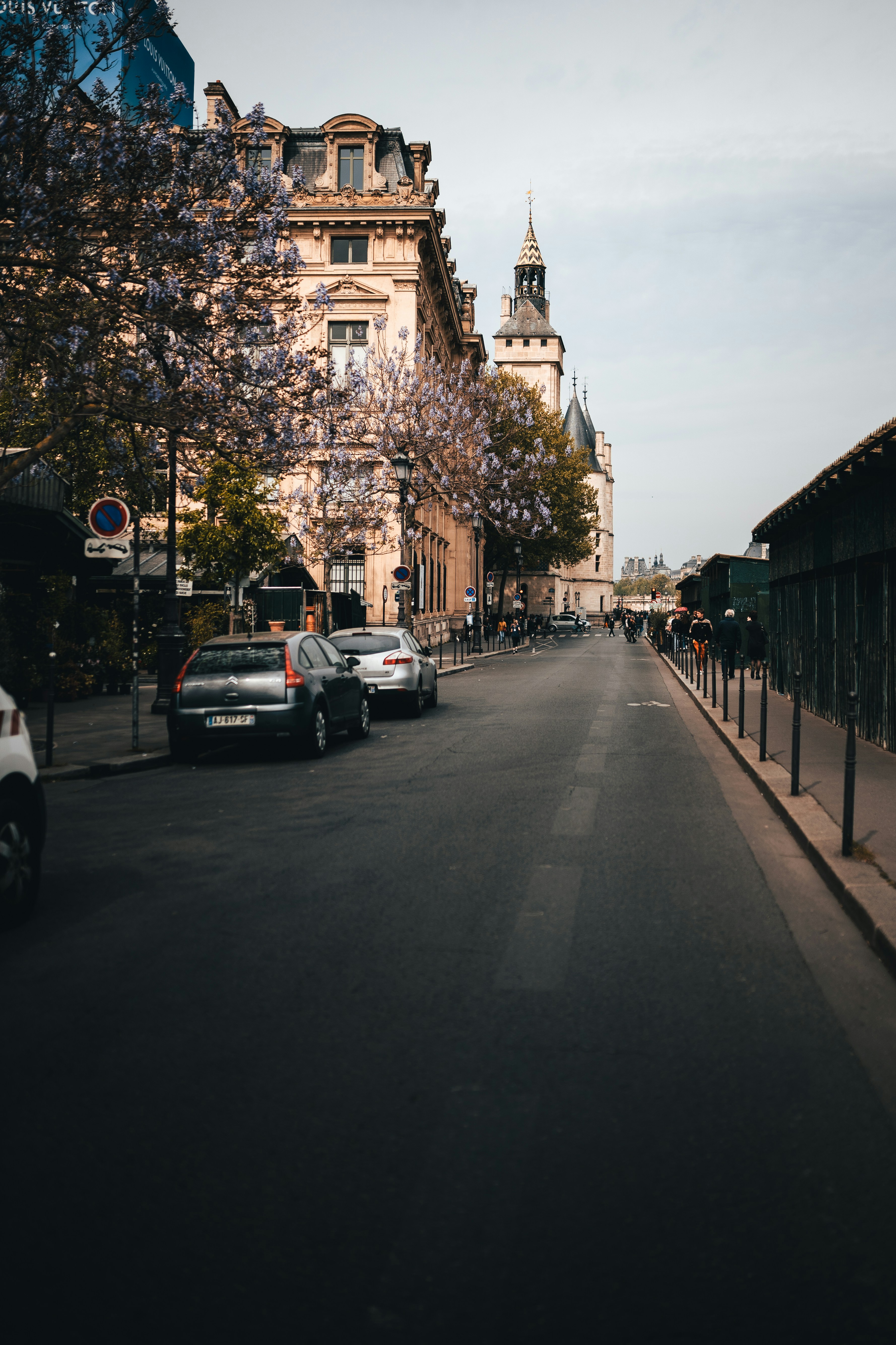 Charming street scene featuring historic architecture and blooming trees, leading to a distant tower under a cloudy sky.