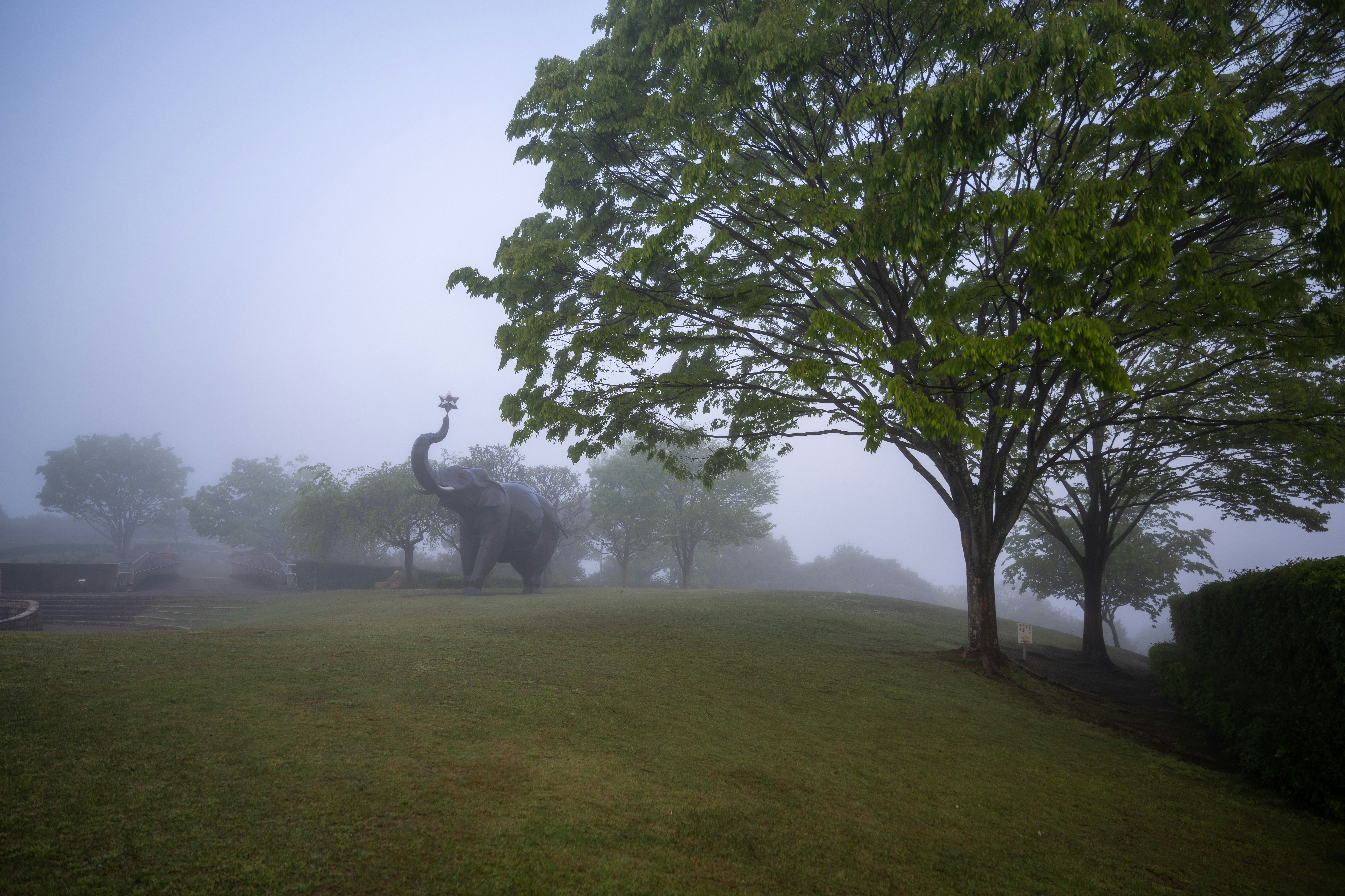 Misty Overlook: Fog Softens the Park’s Silent Statues