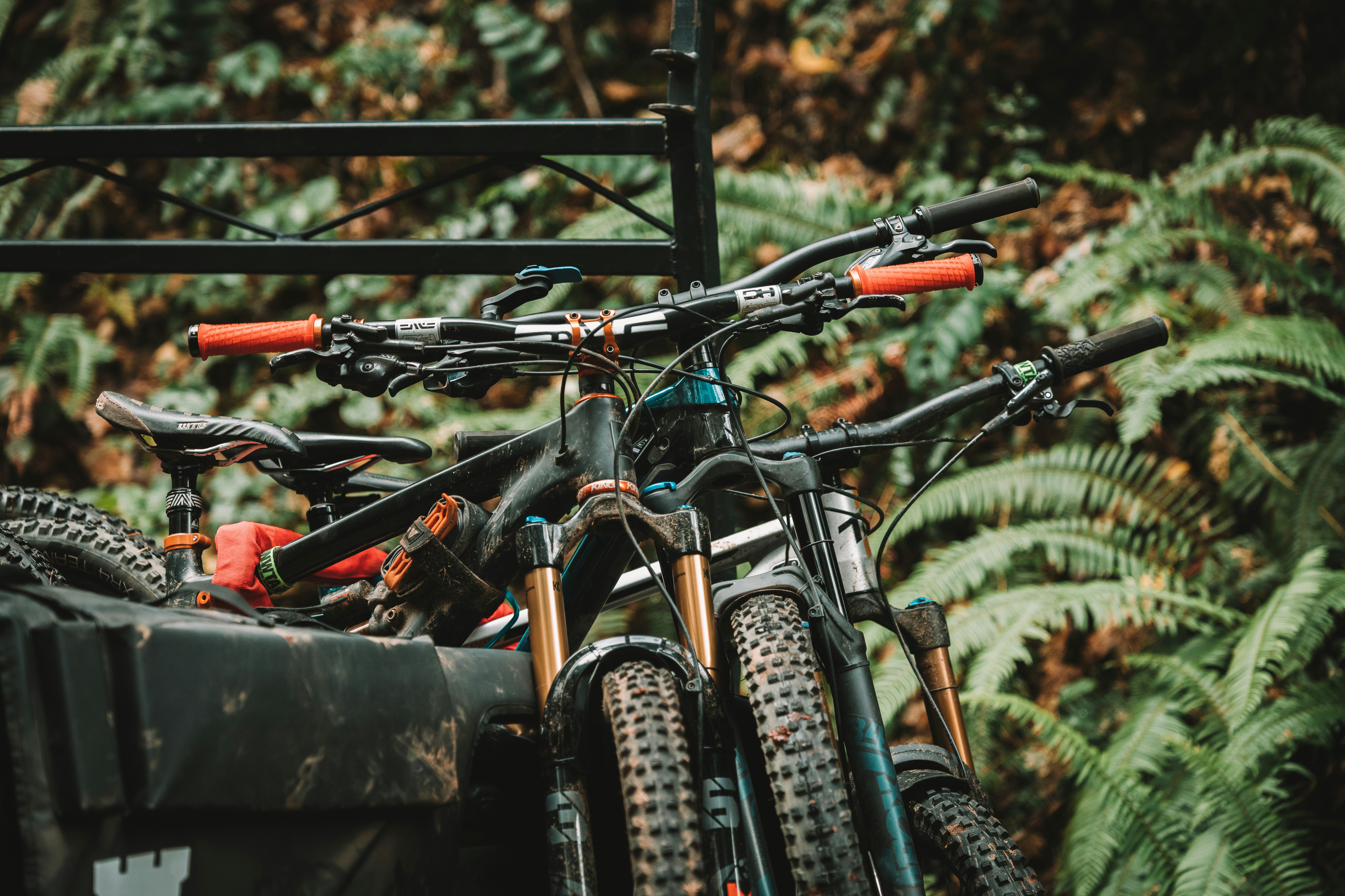 Sean Benesh (@seanbenesh) | Unsplash Photo Community