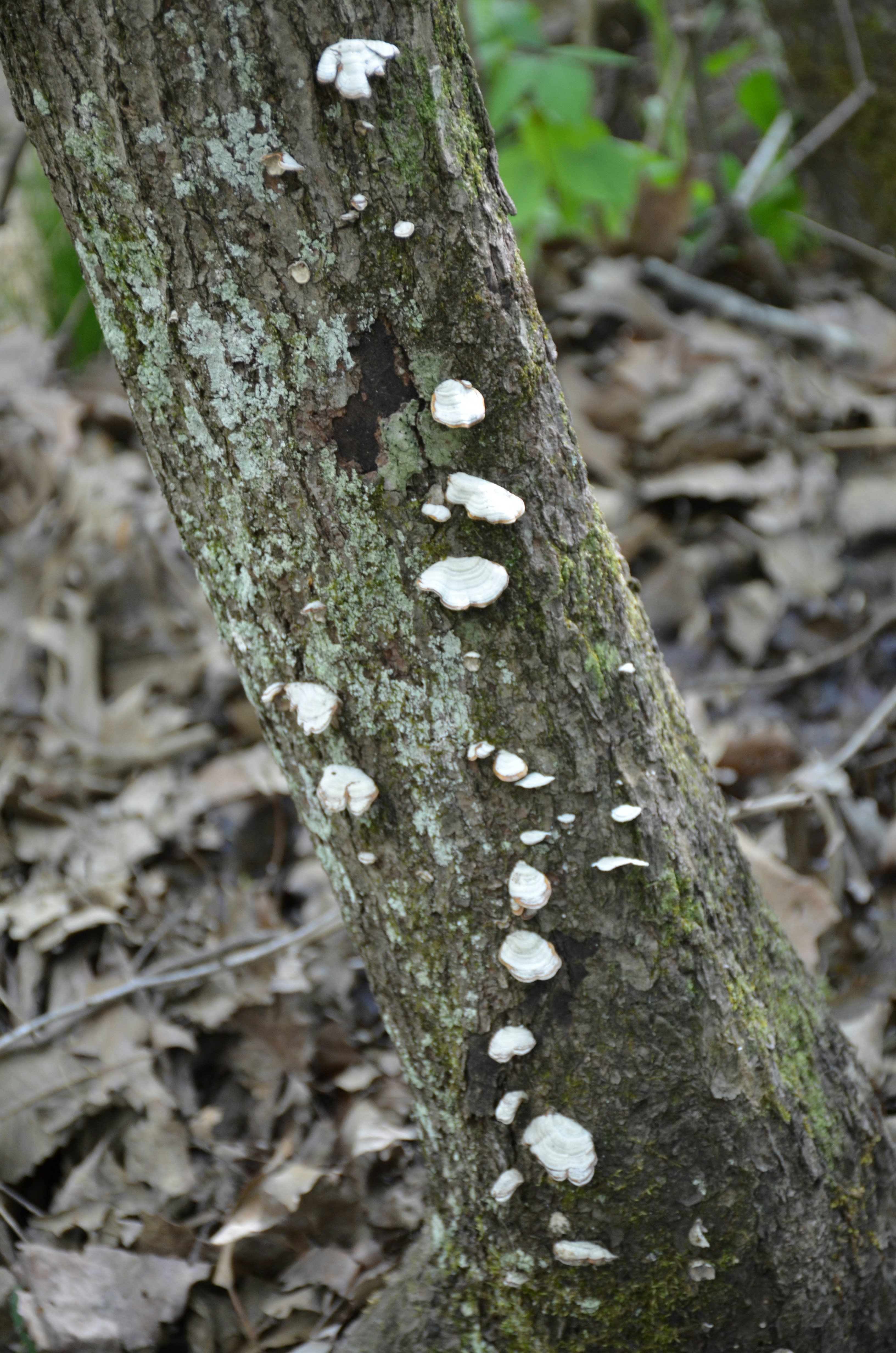 Photo by David Young with Nikon D7000