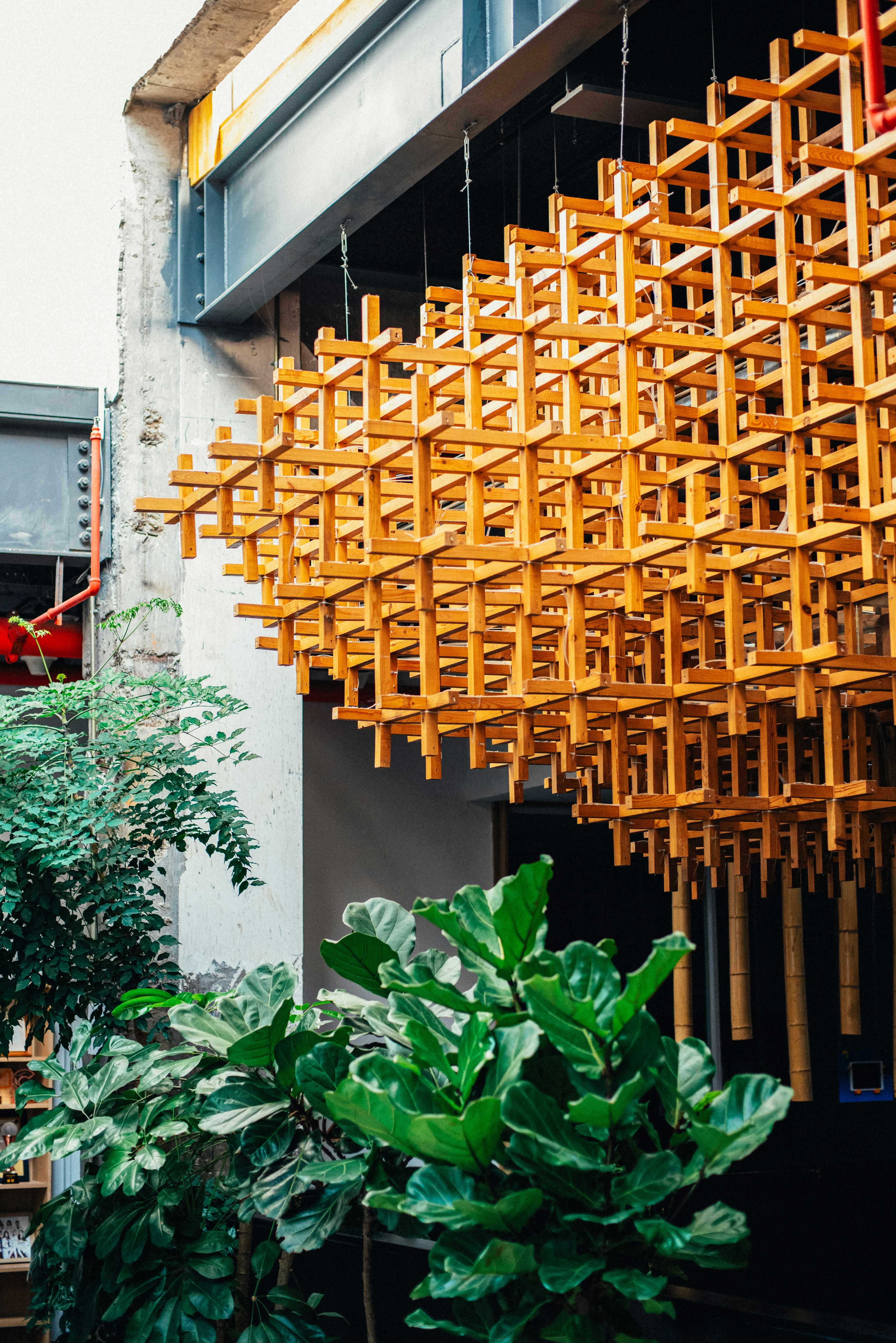 Amber Lattice Canopy: Interwoven Timber Fragments in an Urban Atrium