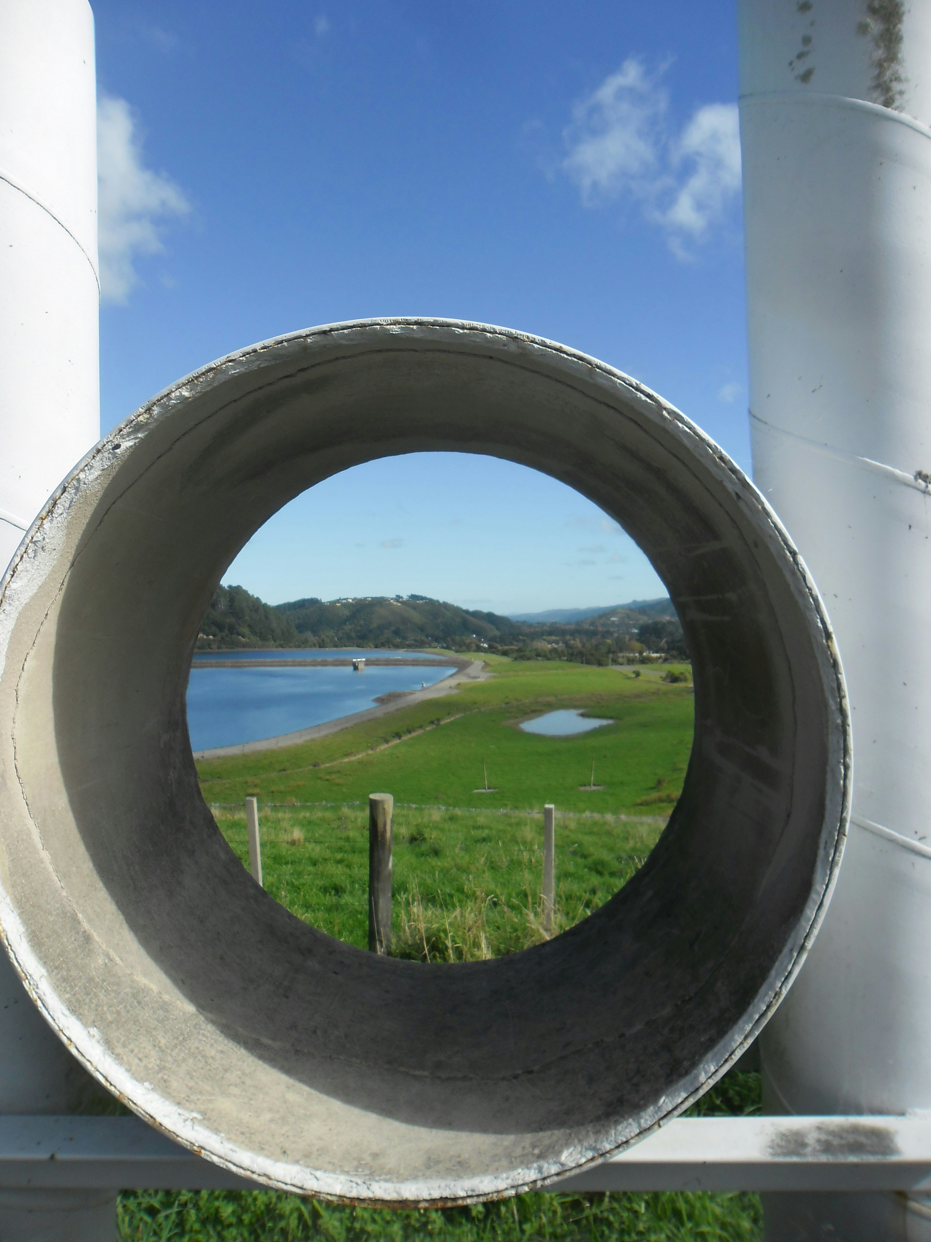 Through a Concrete Ring, a Quiet Coastal Meadow Unfolds