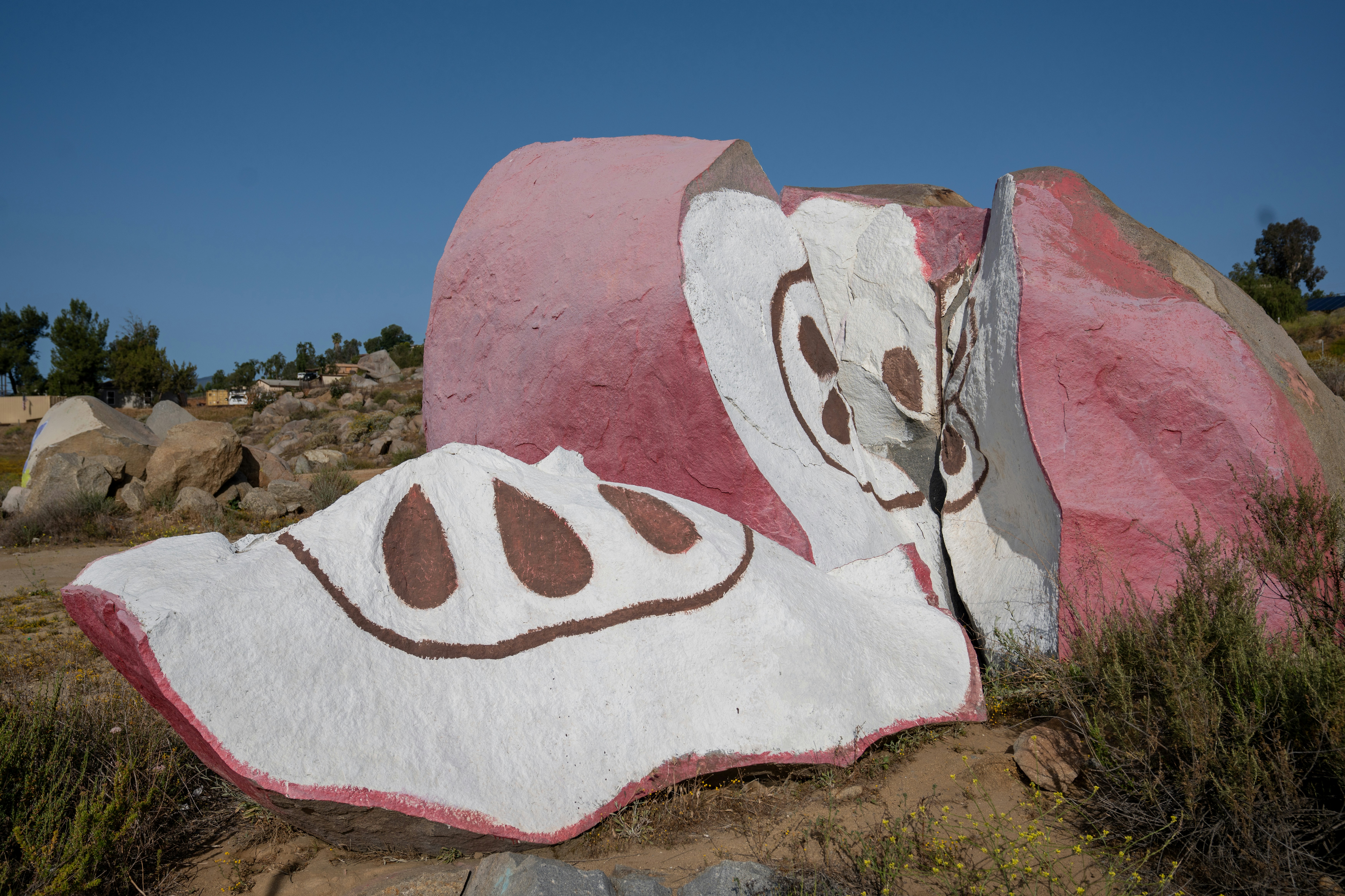 a rock with a face carved into it