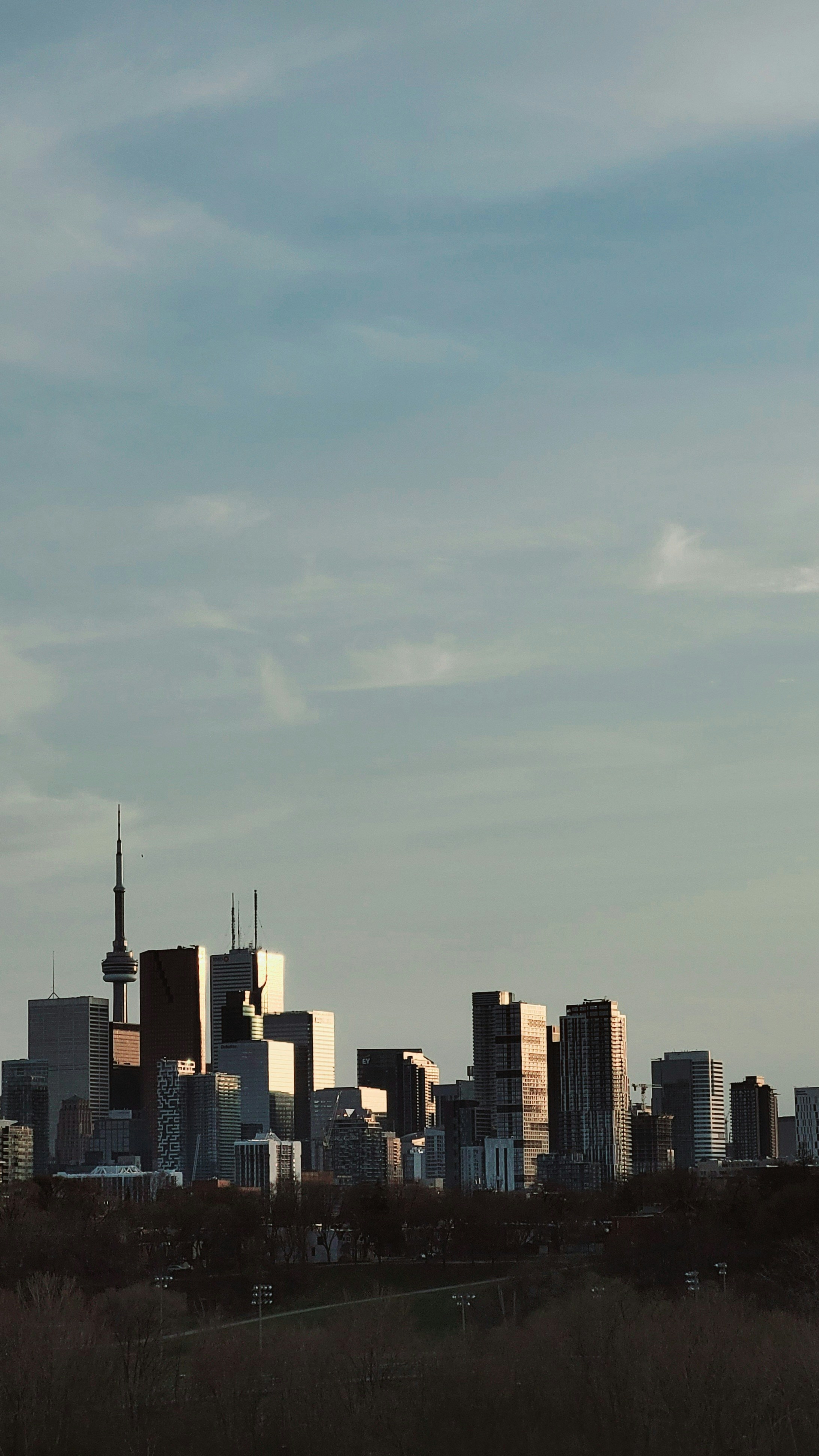 Toronto skyline illuminated by the evening light, showcasing a blend of modern architecture and natural landscape.