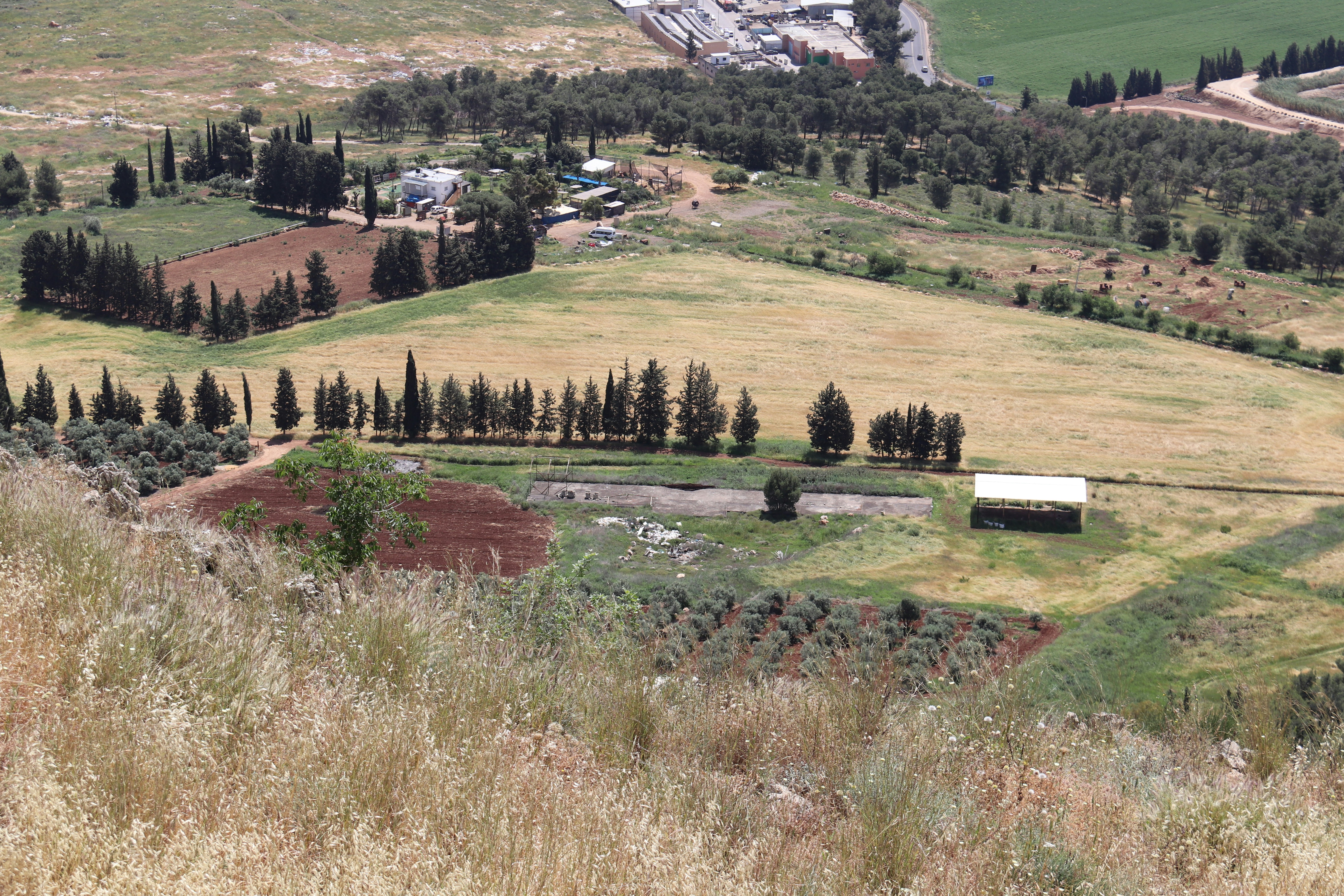 A landscape with trees and buildings photo – Free Mount precipice Image ...