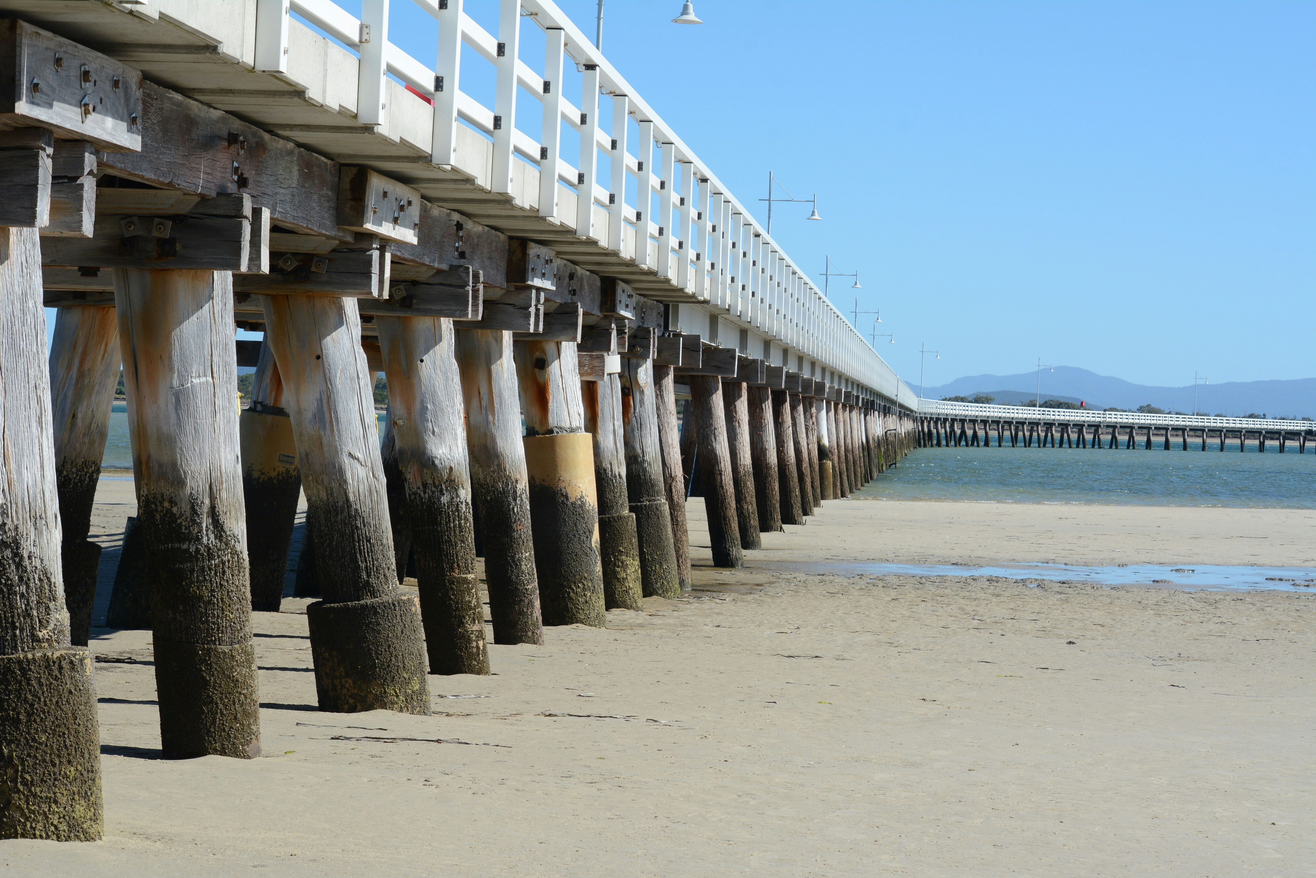Parallel Pilings: A Coastal Corridor to the Distant Horizon