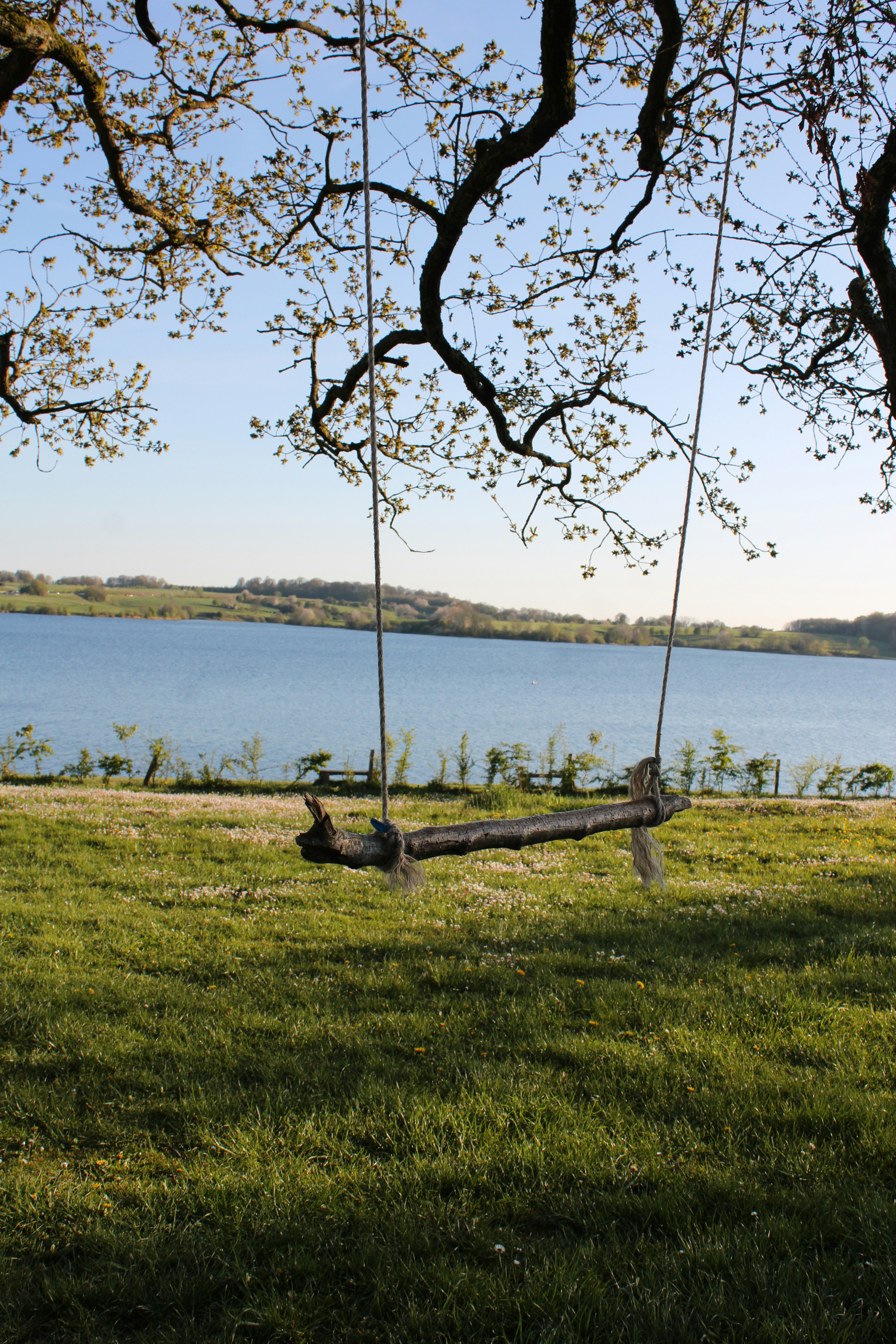 Spring Light on a Wooden Swing Over the Lakeside Meadow