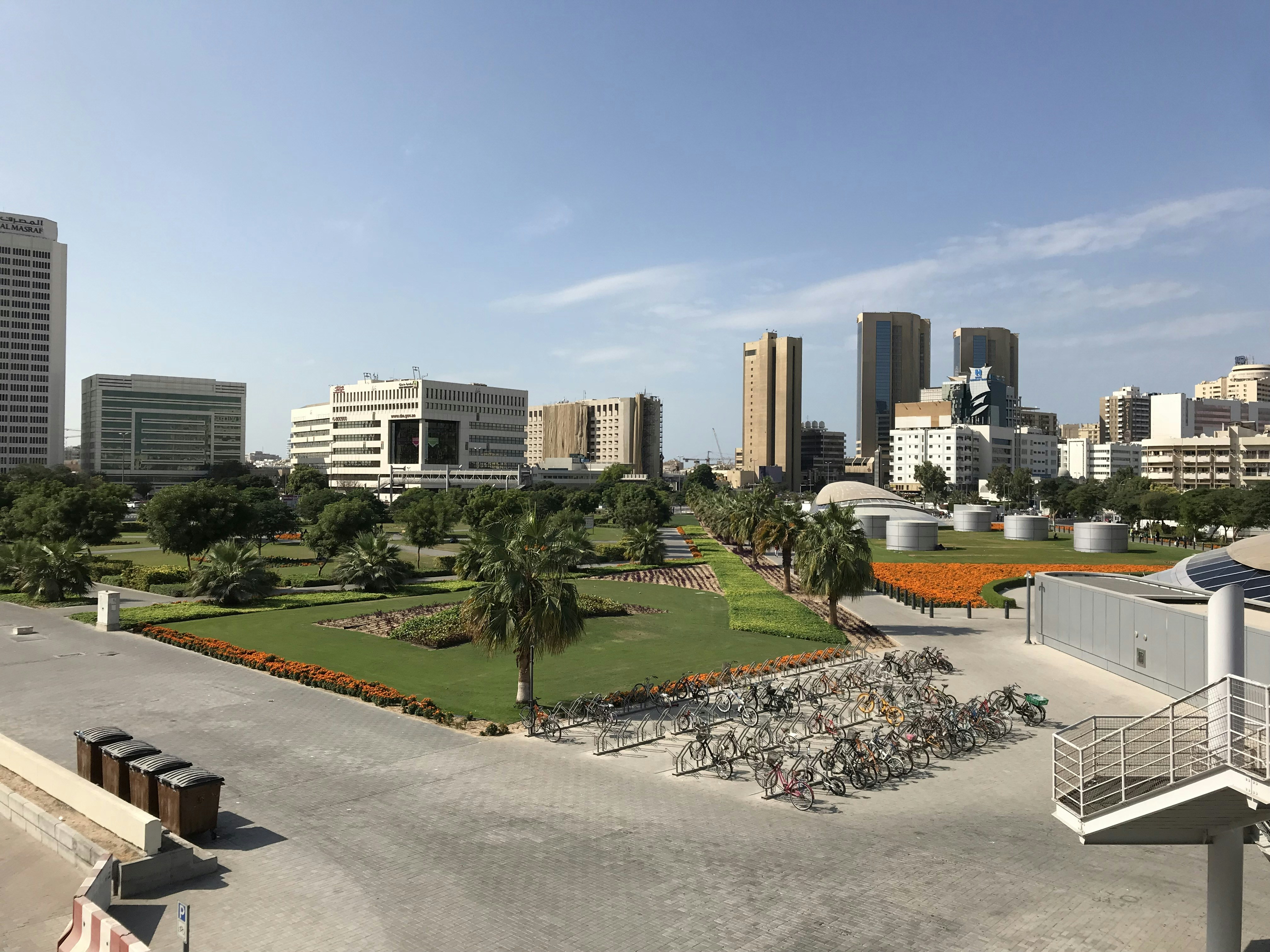 a park with a city in the background