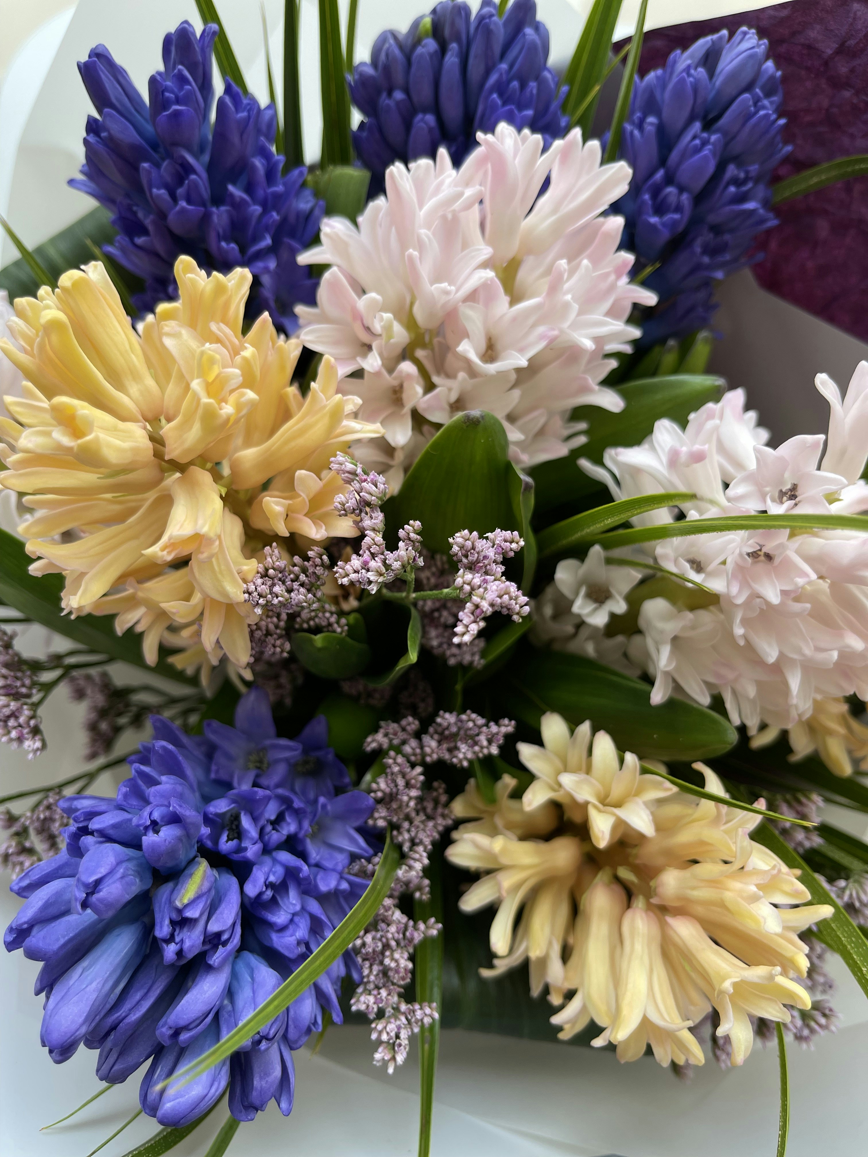 A group of flowers photo – Free Flower Image on Unsplash