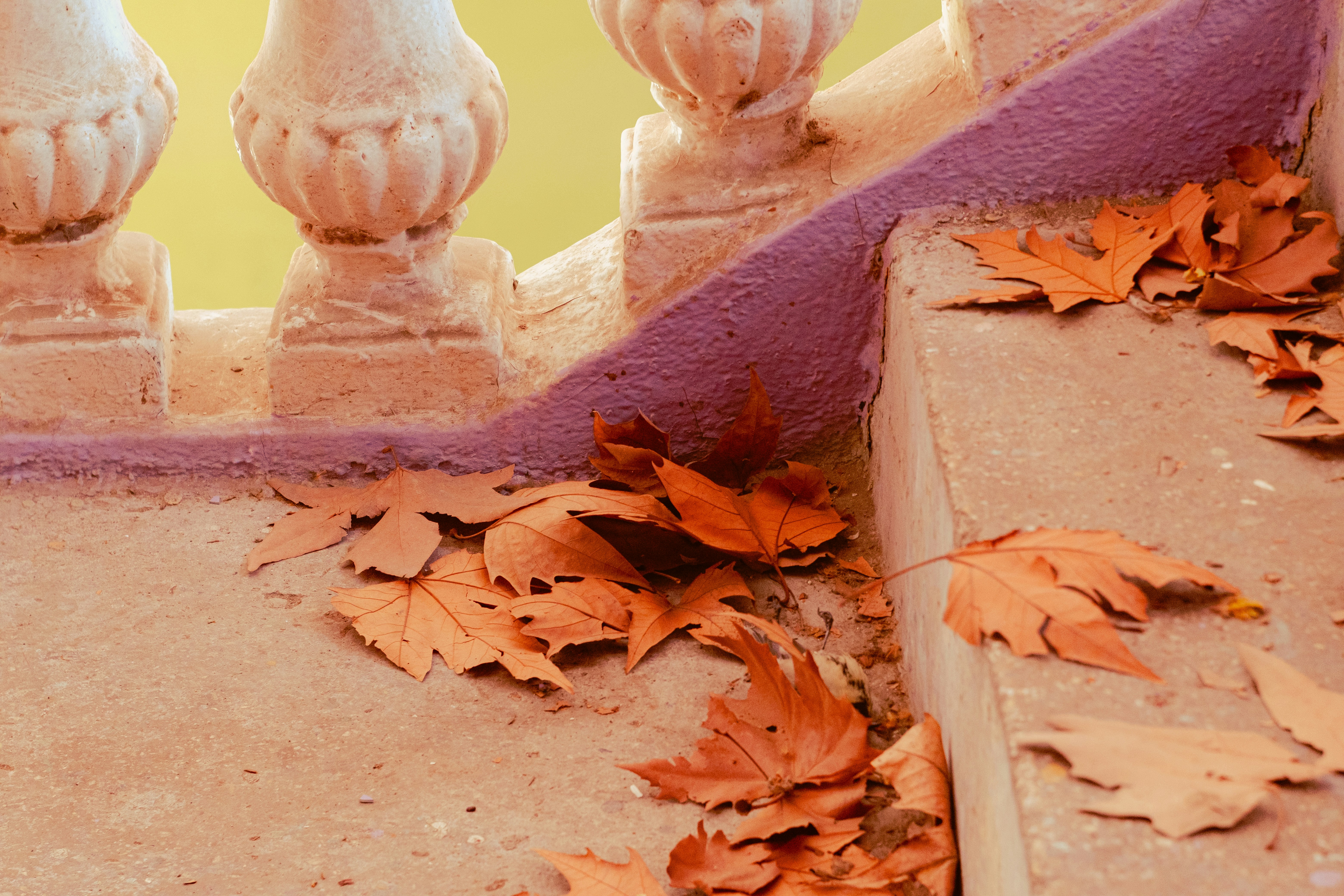 Amber Leaves Along a Terracotta Terrace