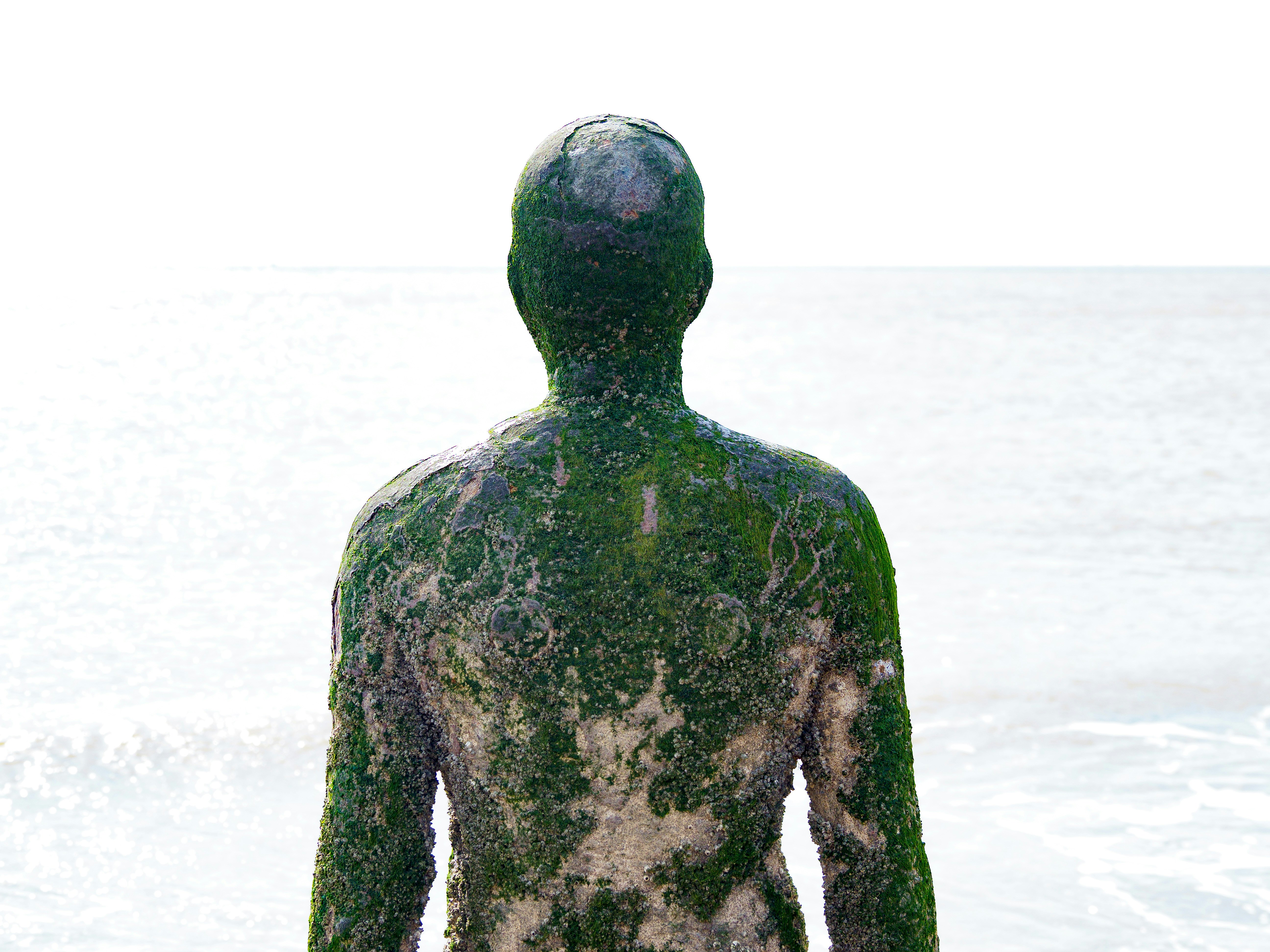 Moss-Cloaked Seaside Figure Gazing at the Horizon