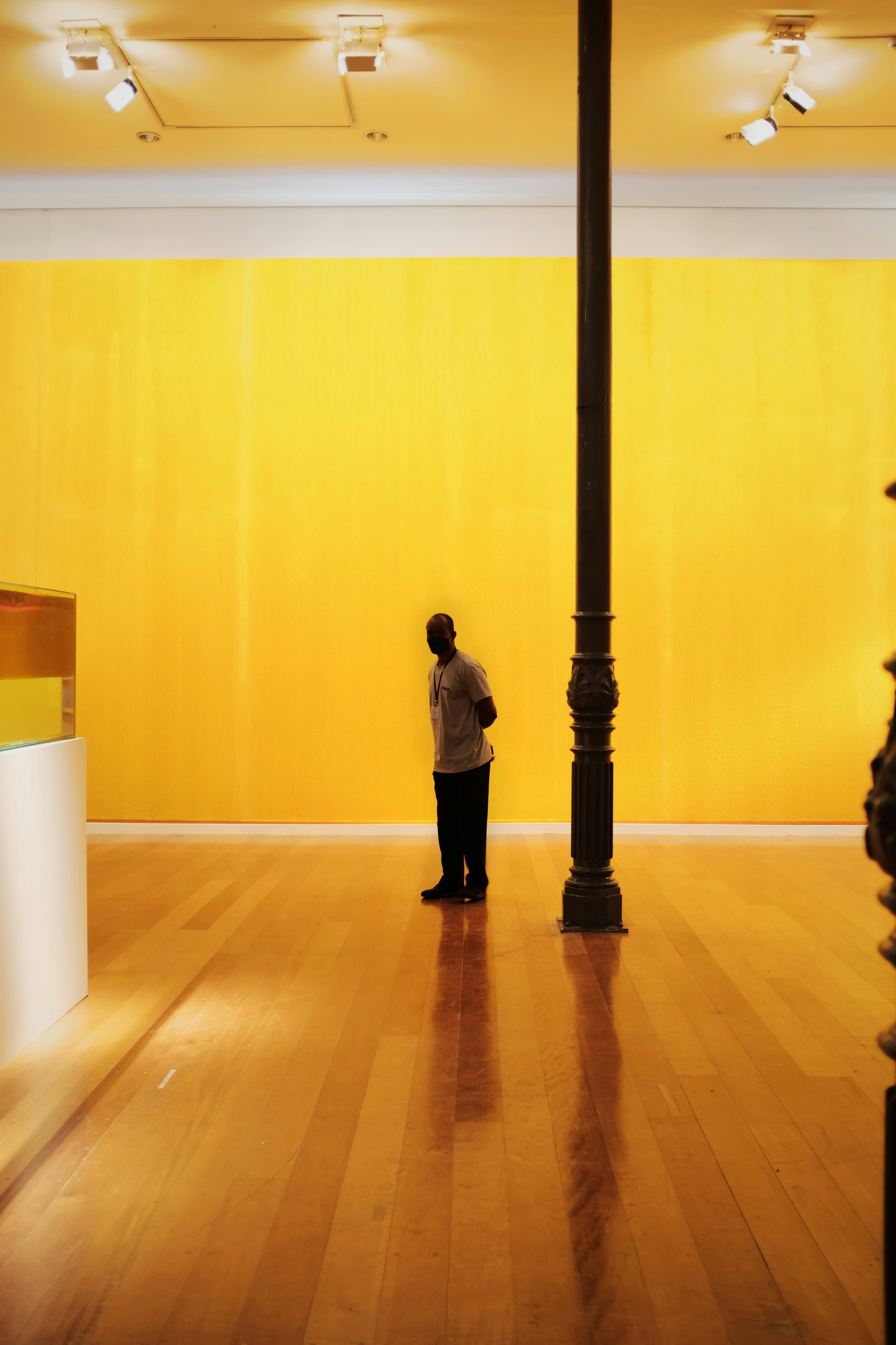 Lone Visitor in a Sunlit Gallery Framed by a Black Pillar