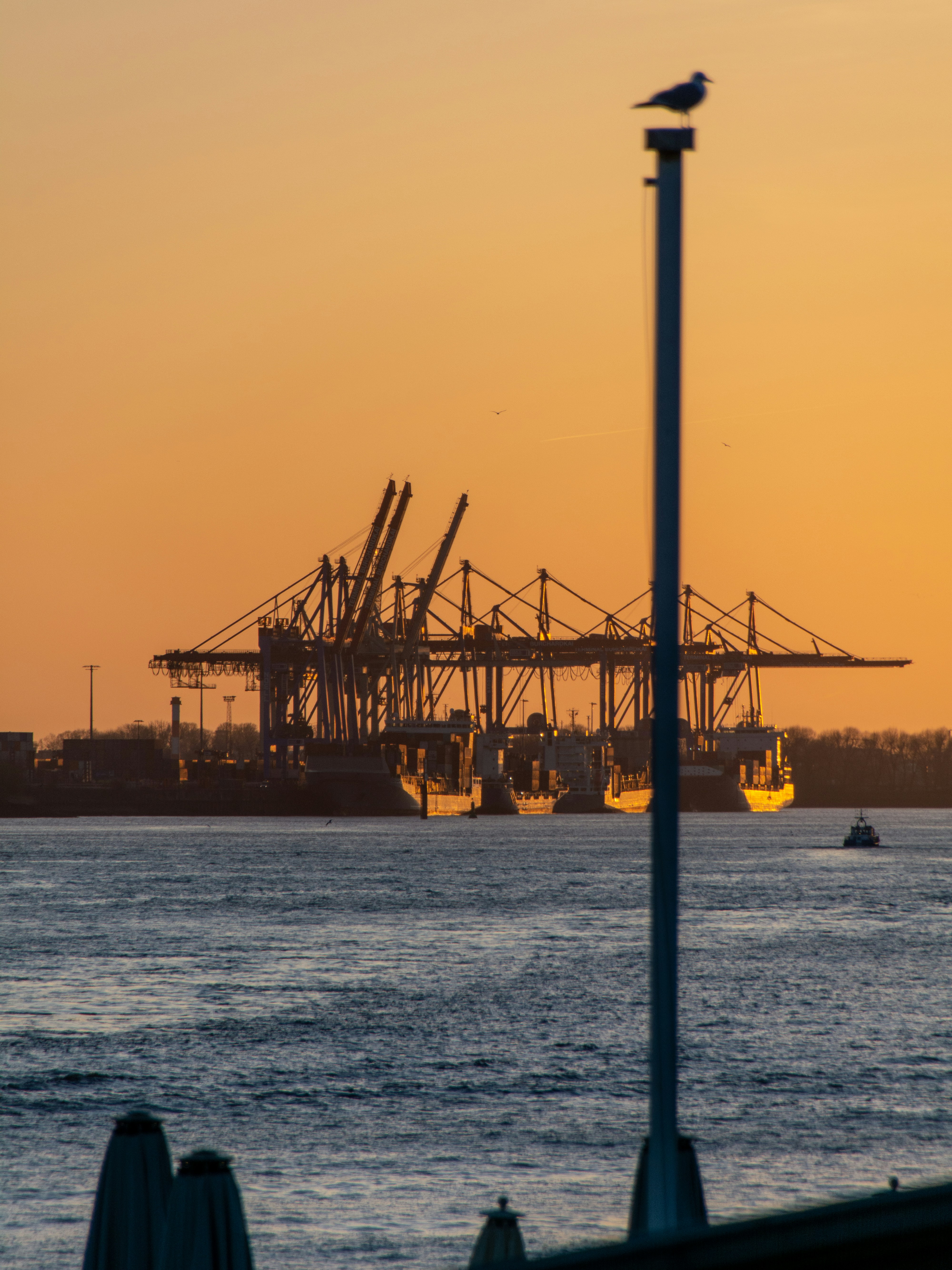 Harbor Crane Silhouette at Sunset
