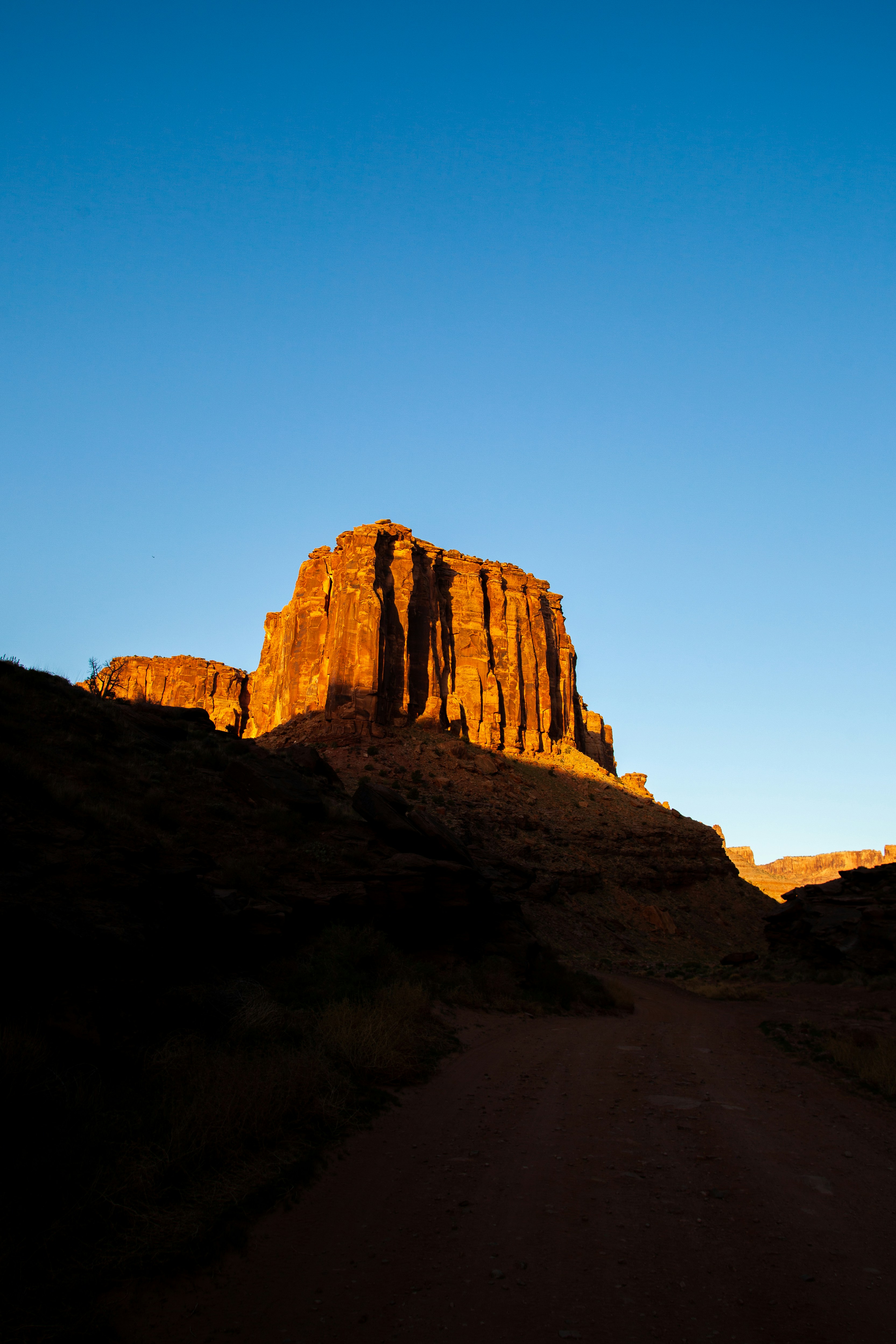 Desert Sentinel in the Last Light