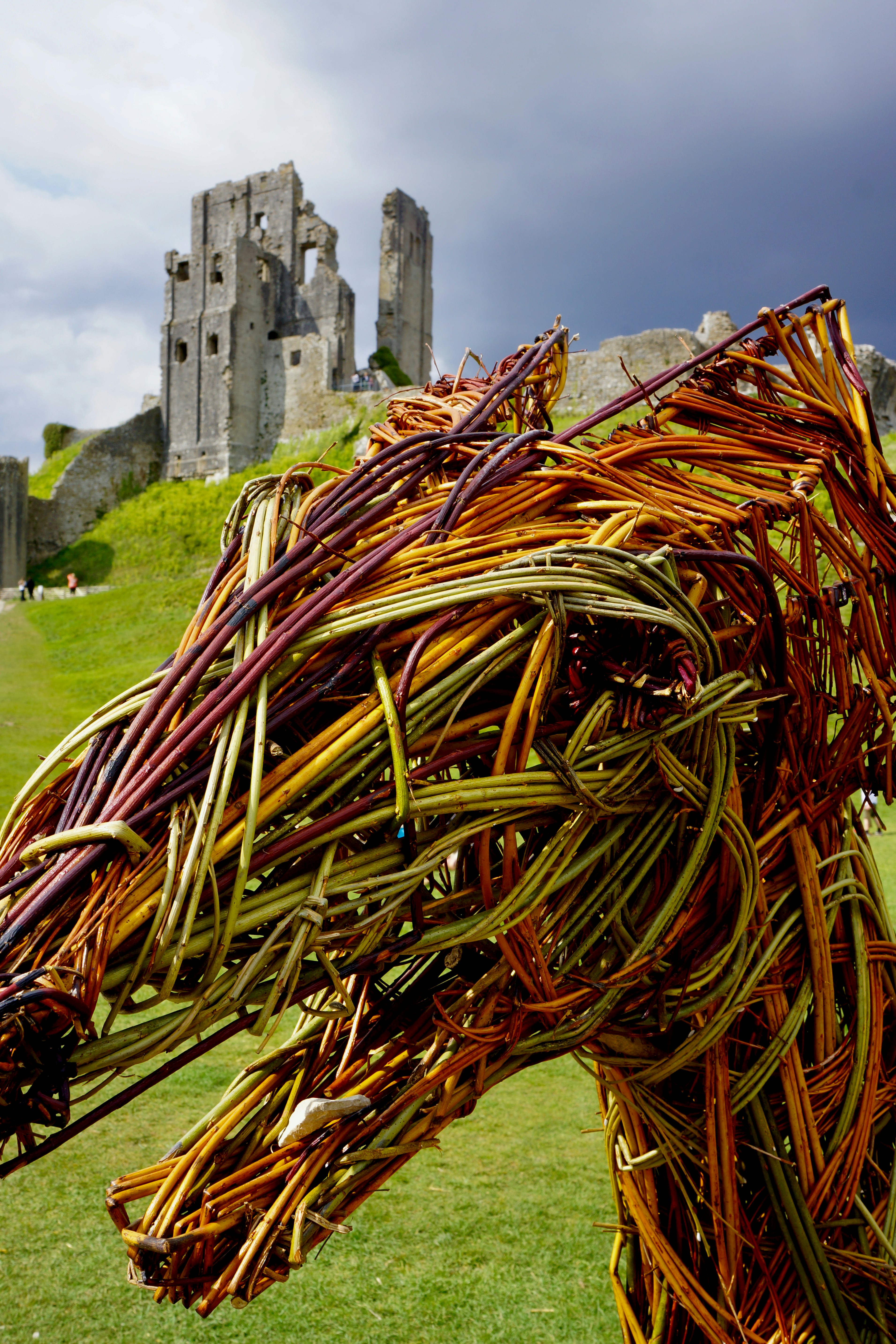 Rattan Horse Stride: Unity of Color and Ruins