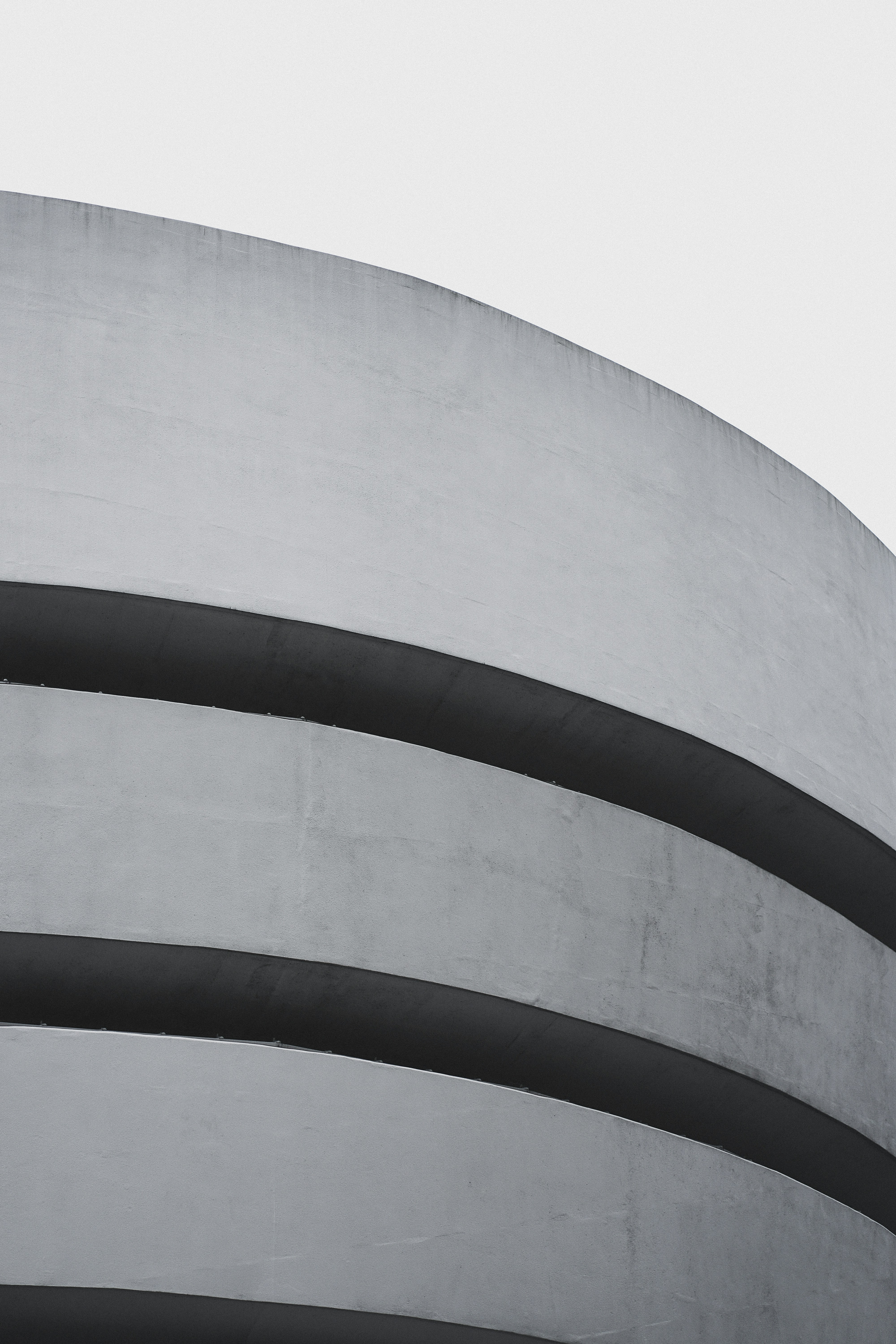Concentric Echoes in Concrete: A Minimalist Study of Light and Shadow