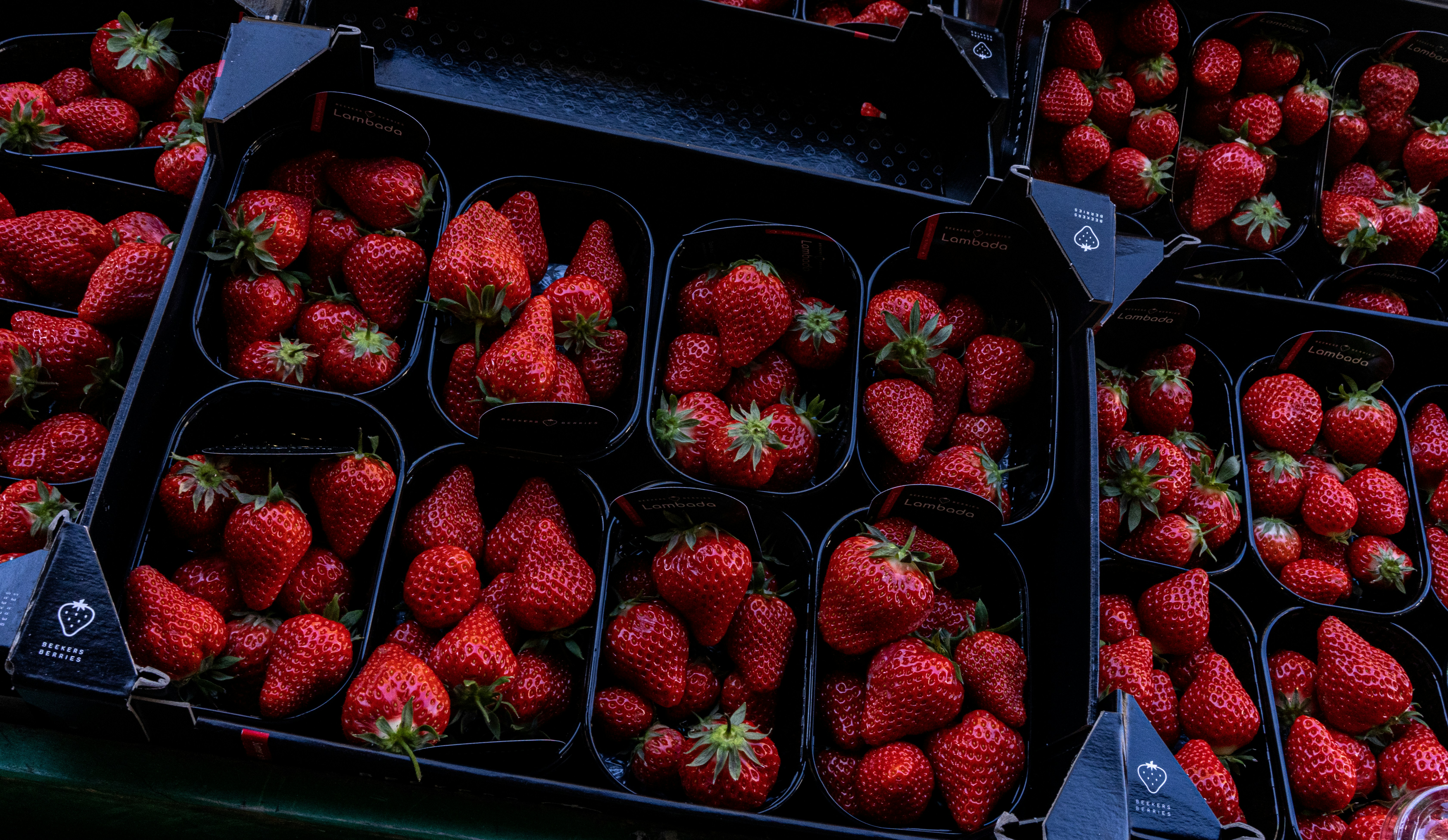 Crate mosaic of ripe strawberries awaiting the harvest