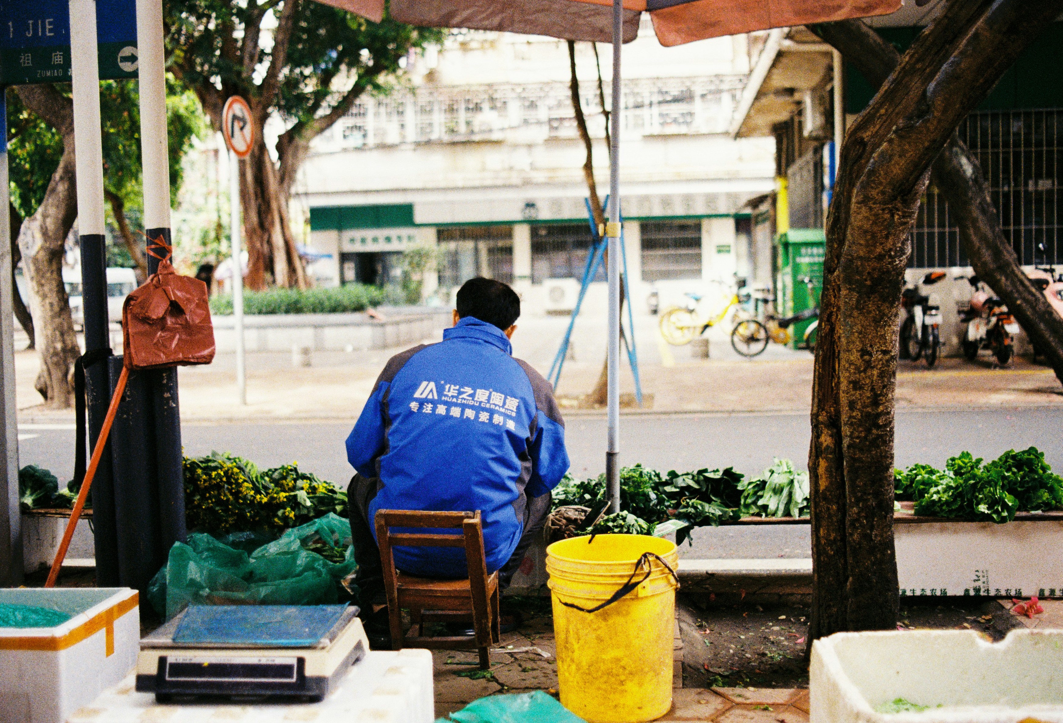 Under the Market Tree: A Blue-Jacket Vendor Tends a Street Stall