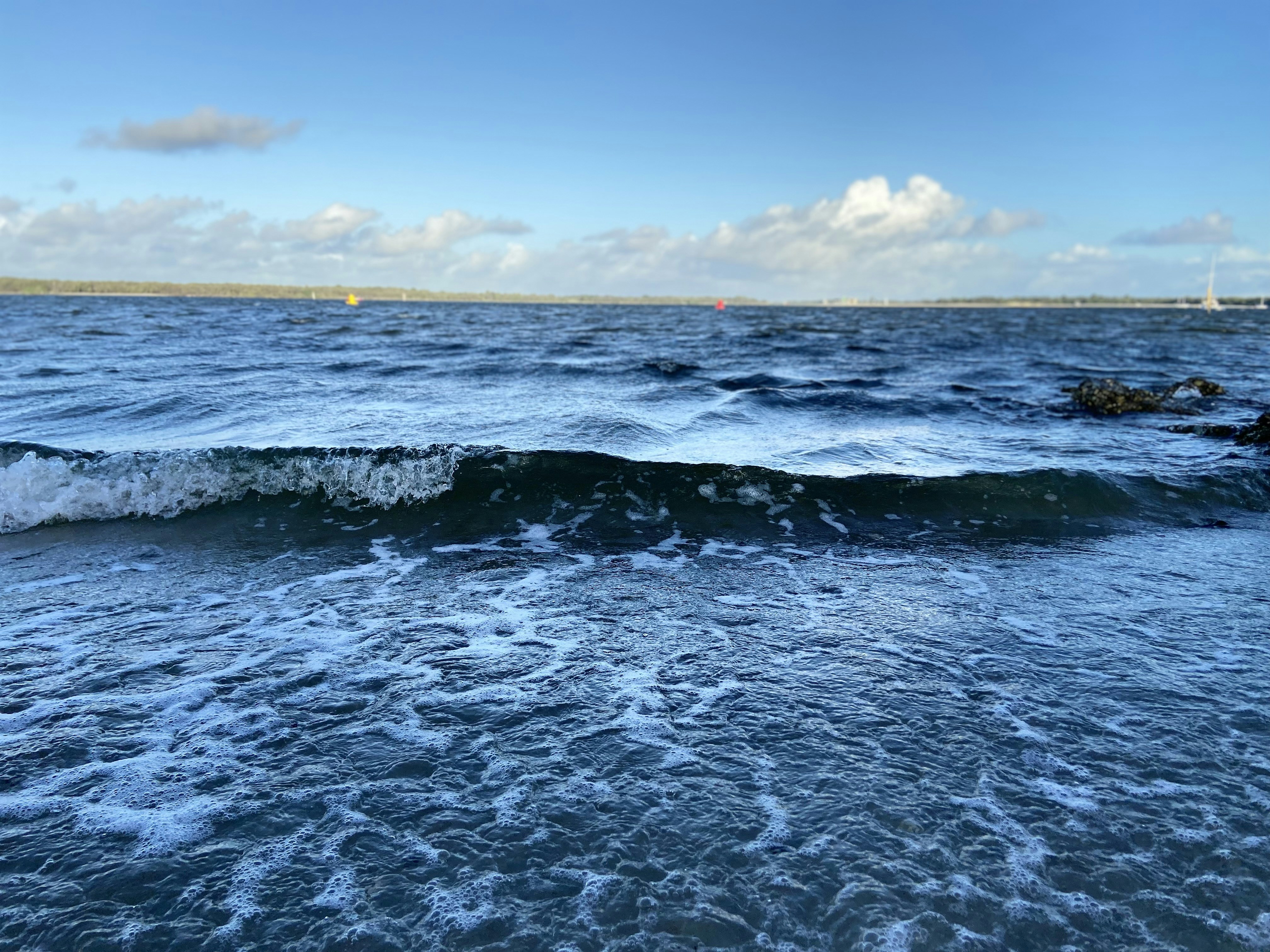 Runaway Pictures | Download Free Images on Unsplash