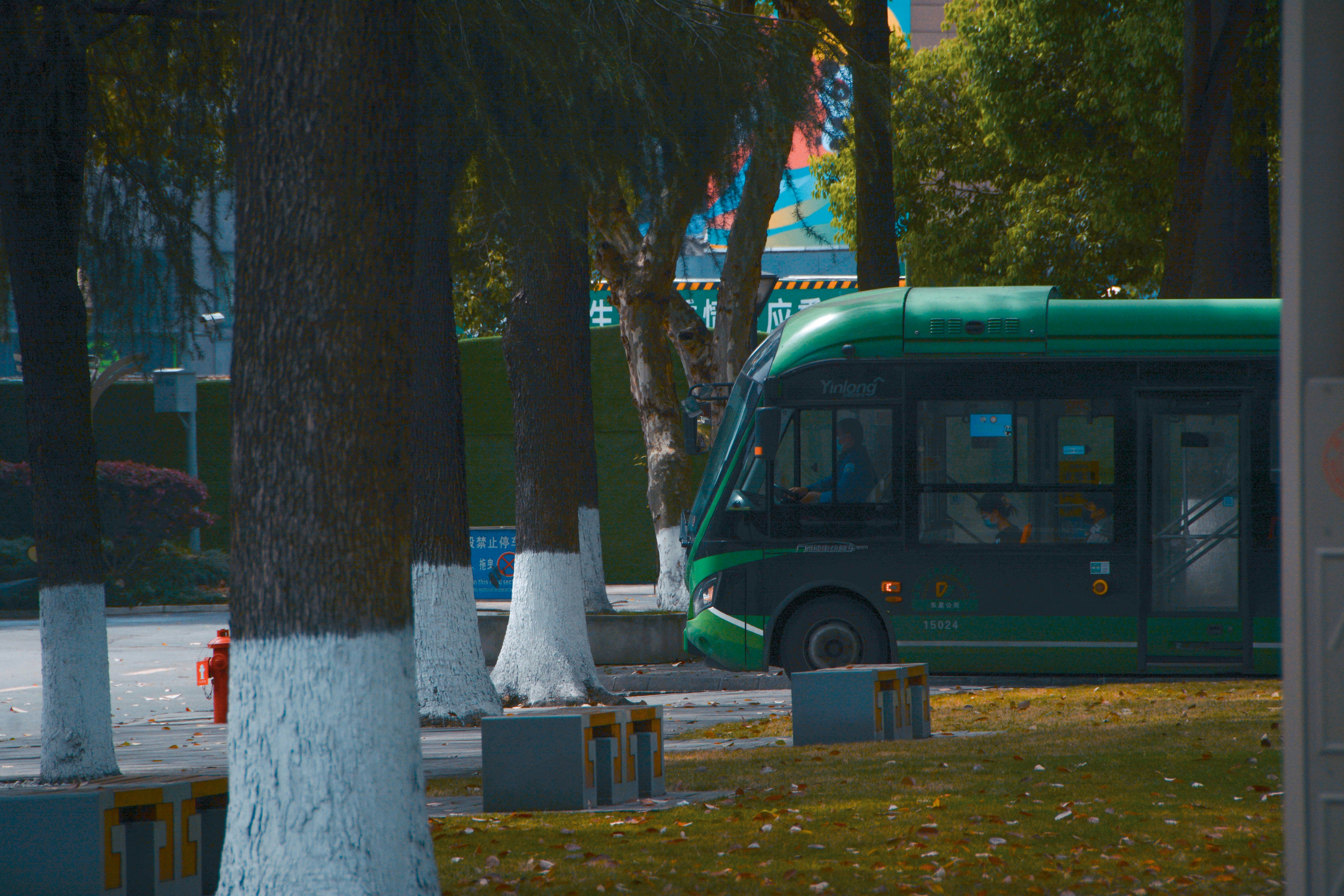 A bus parked in a park photo – Free Transportation Image on Unsplash