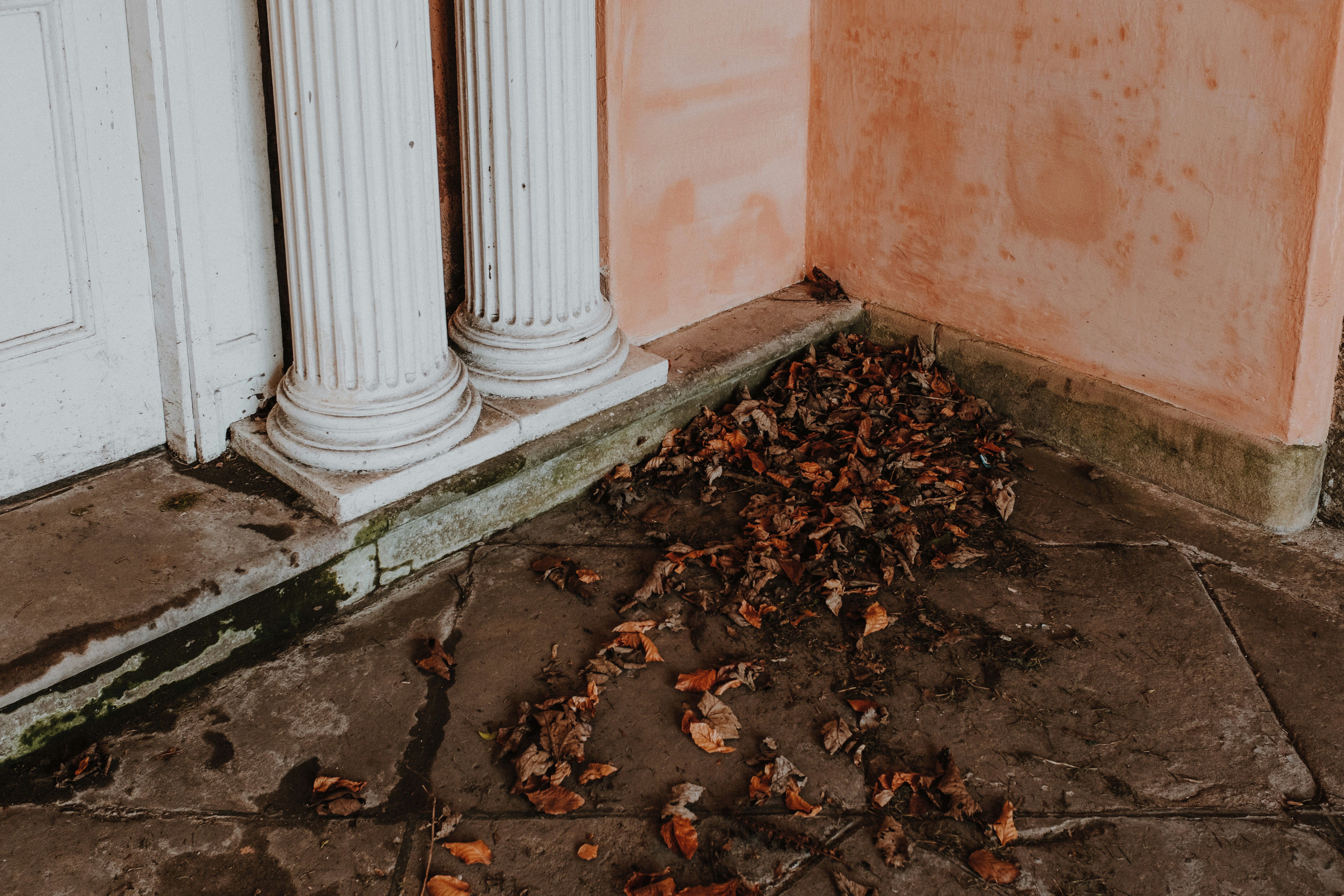 Autumn leaves gather along the edge of a doorway on a peach-toned wall, with white fluted columns and damp stone flooring providing contrast.