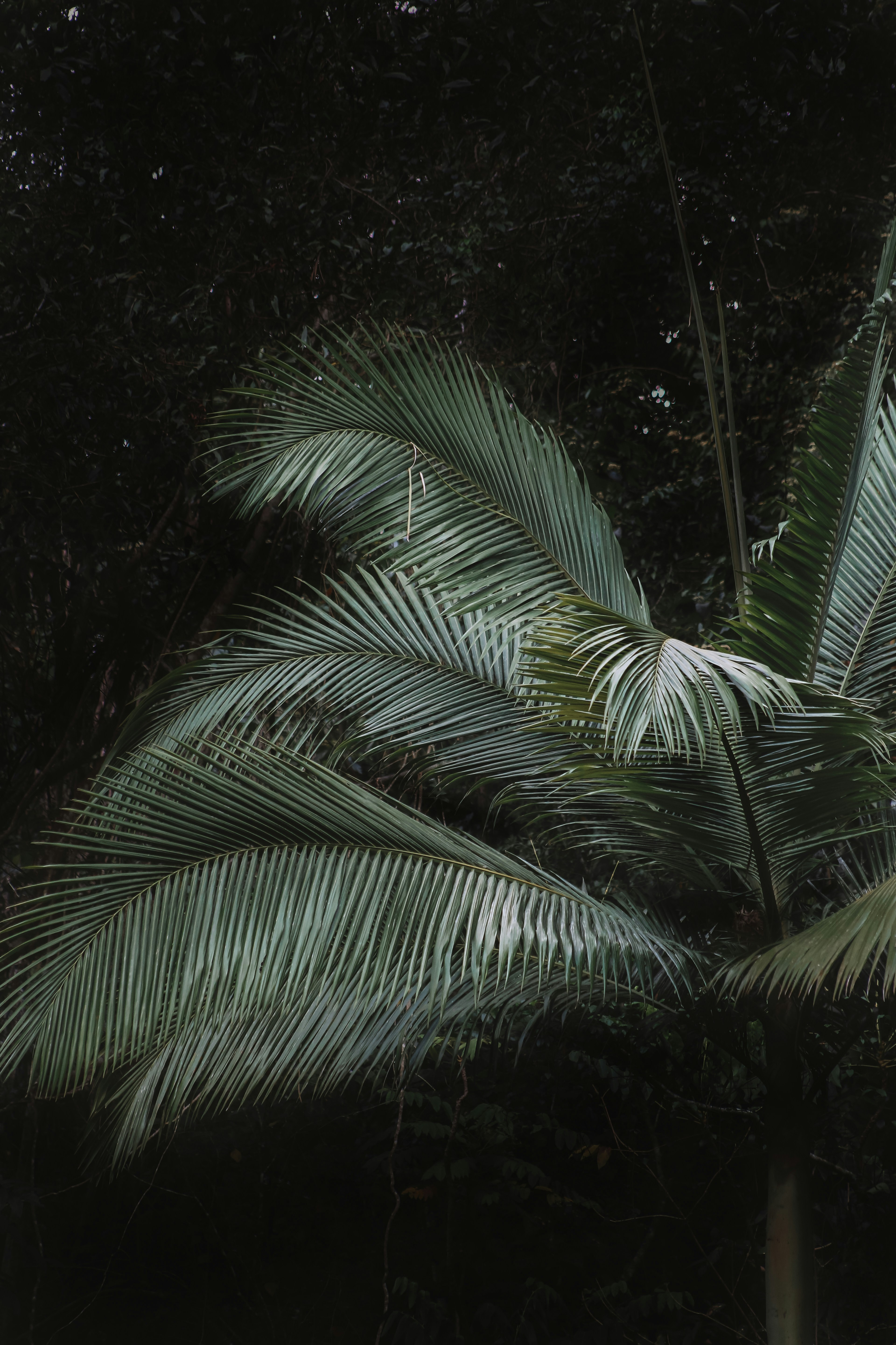 Bailey Cullen (@baileycullenn) | Komunitas Foto Unsplash