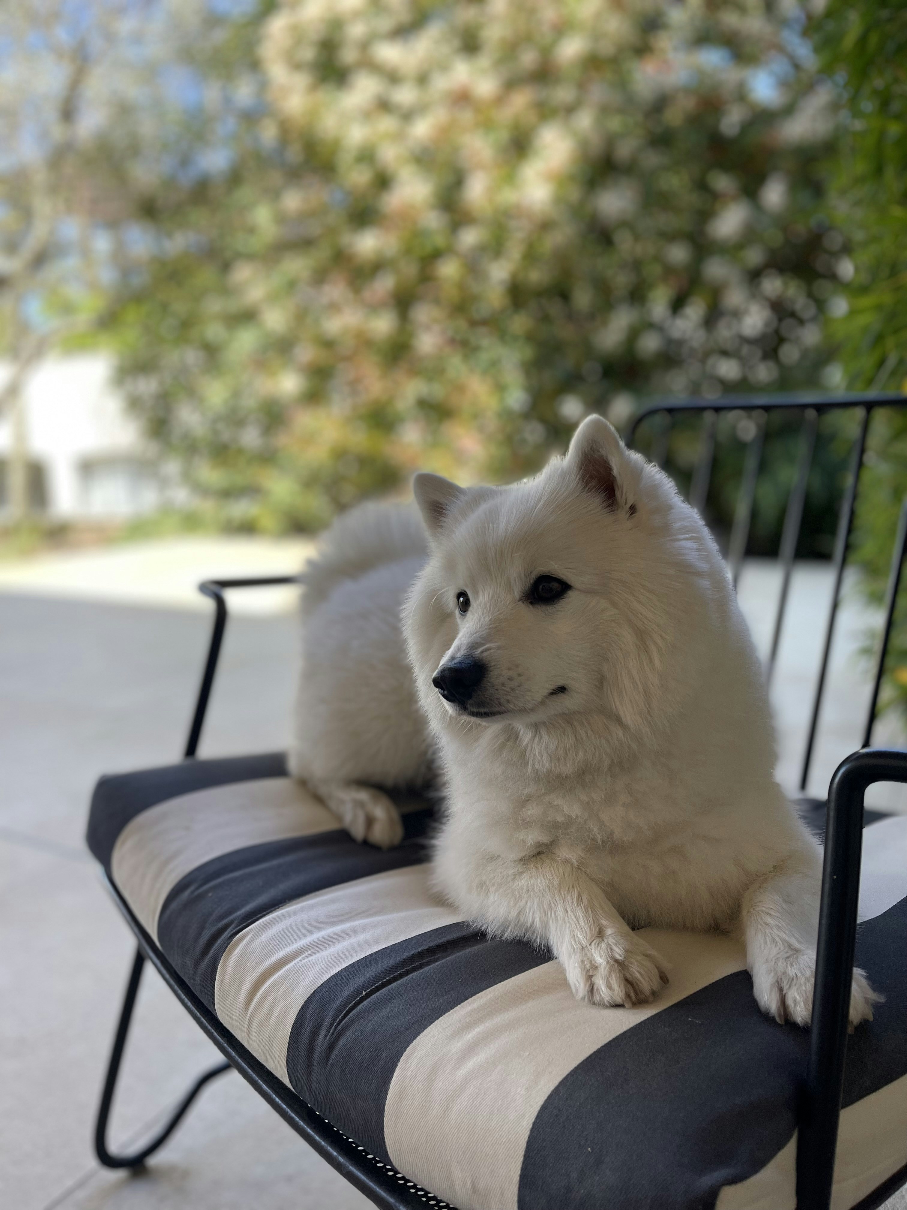 sophie Lavabre barrow (@sophie_mlb) | Komunitas Foto Unsplash