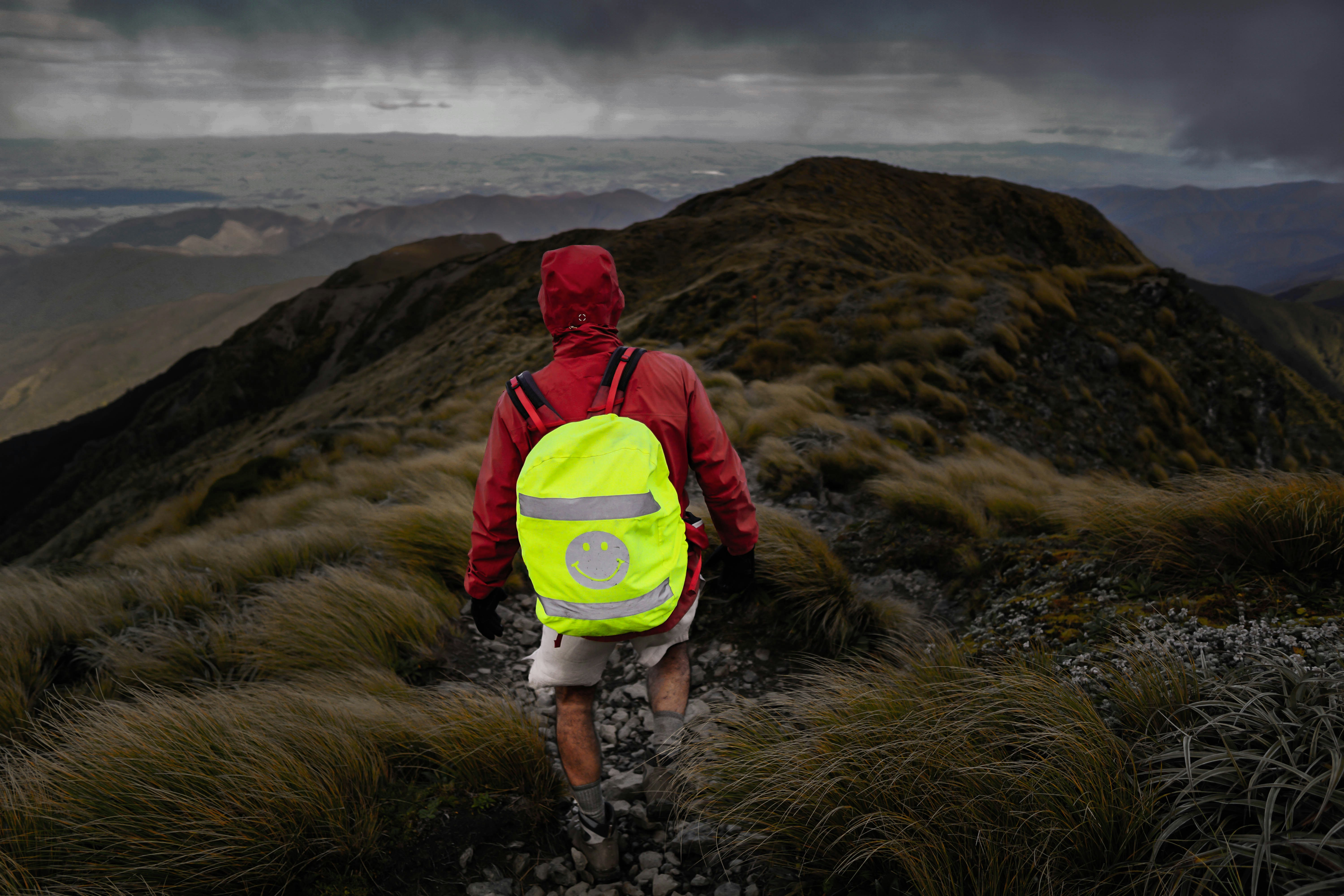 Descent Through the Misty Highlands