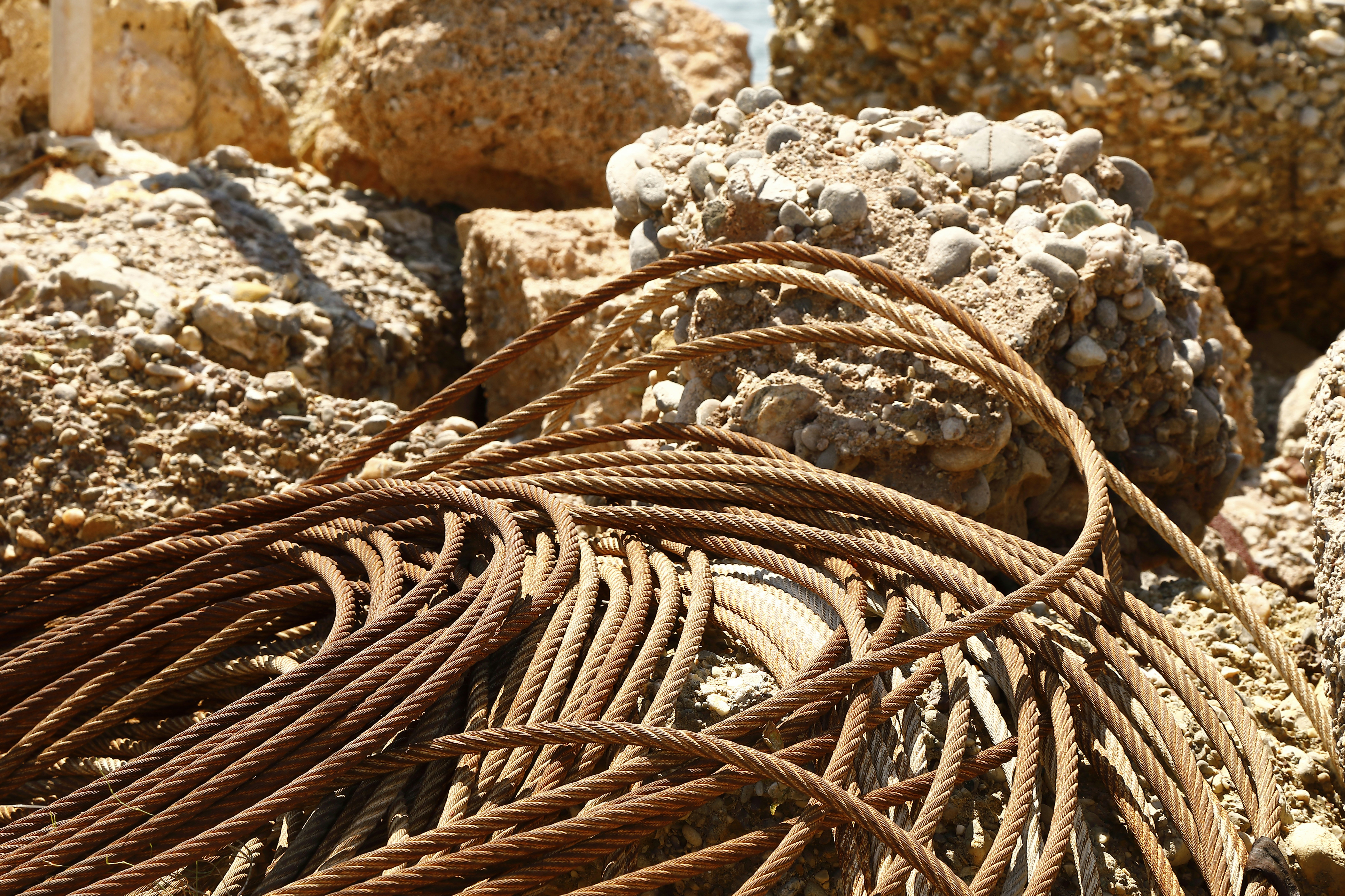 A snake coiled up on rocks photo – Free Rocks Image on Unsplash