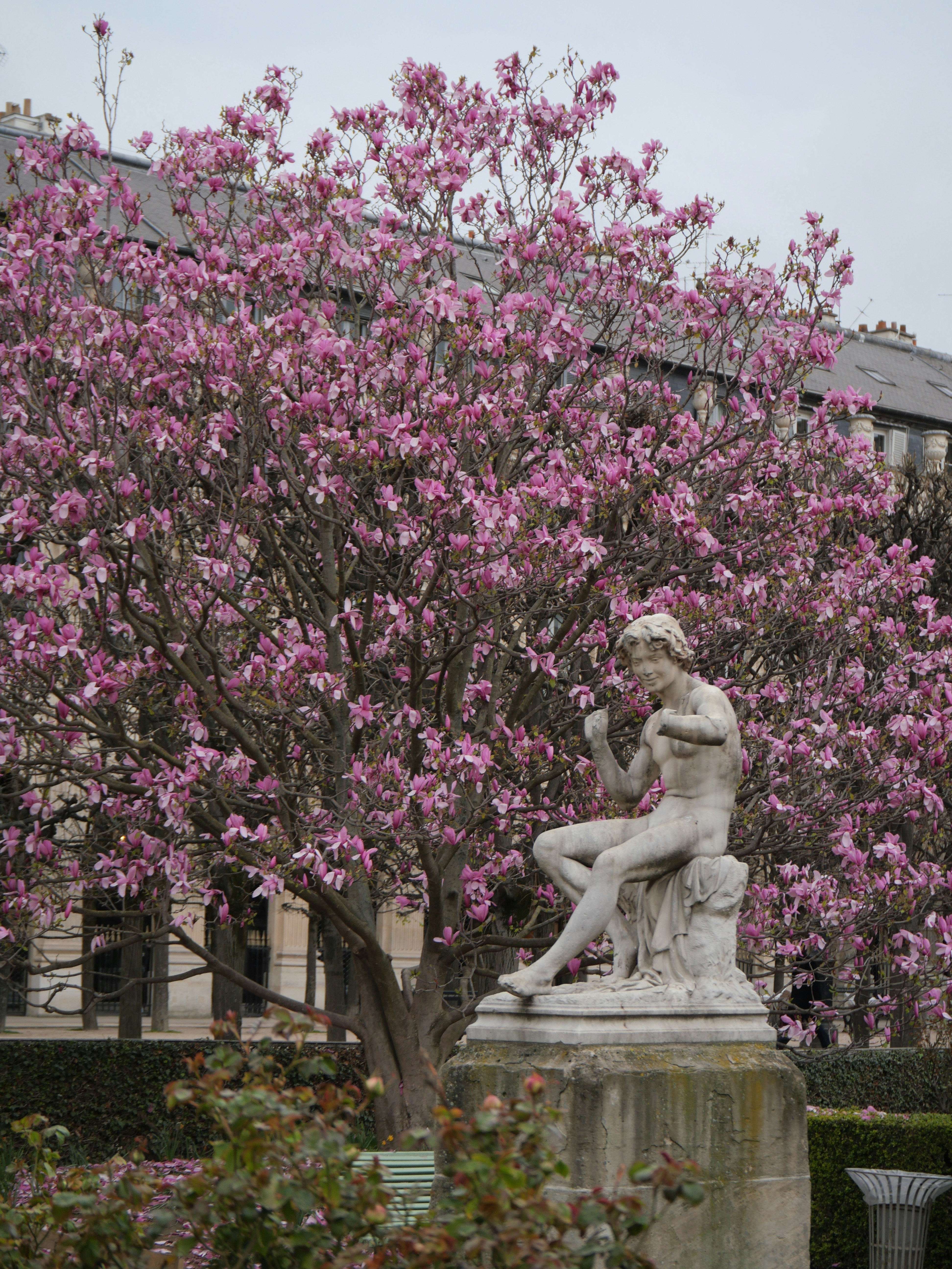 Marble Muse Under a Pink Blossom Canopy