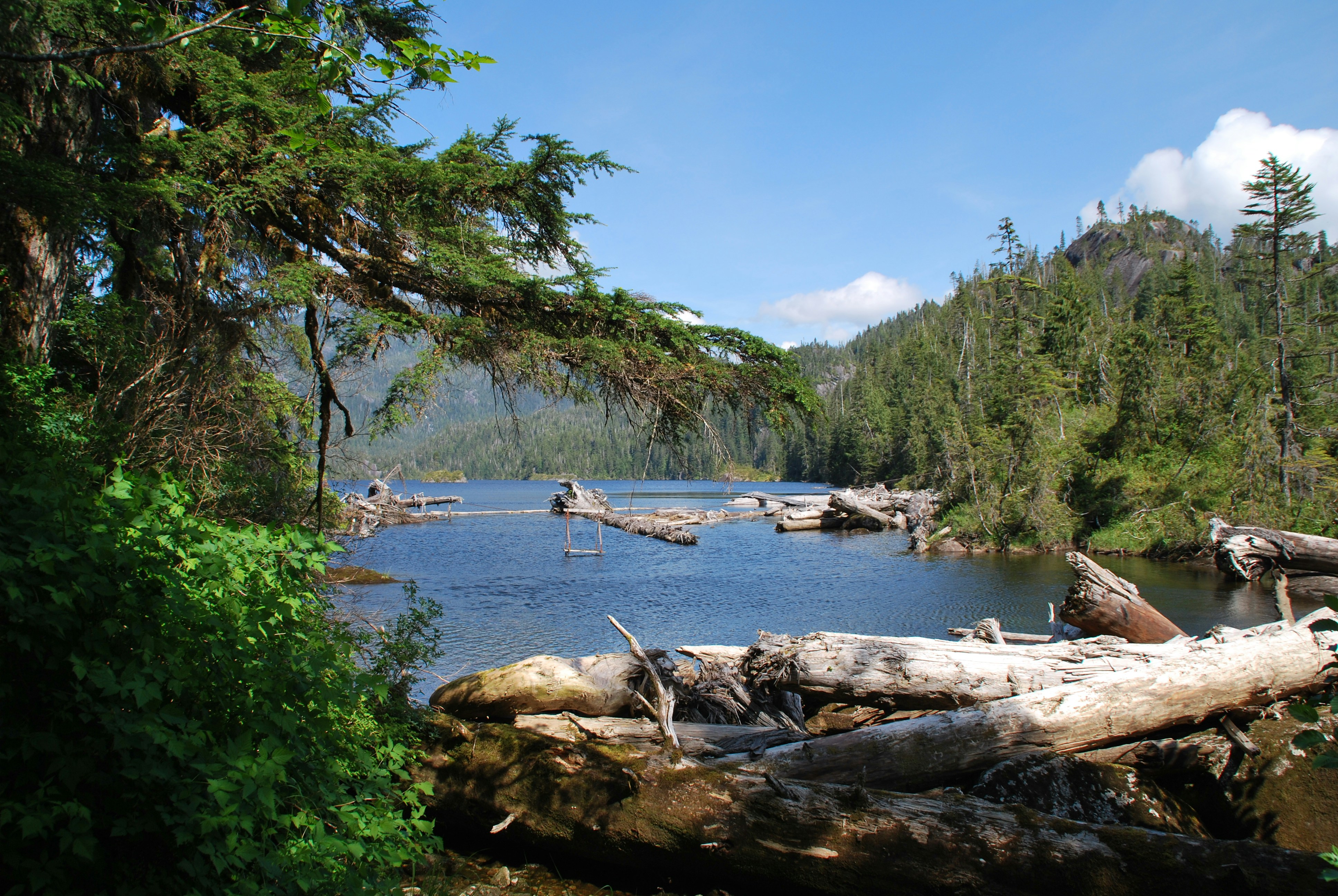 Alaska | a body of water surrounded by trees and rocks