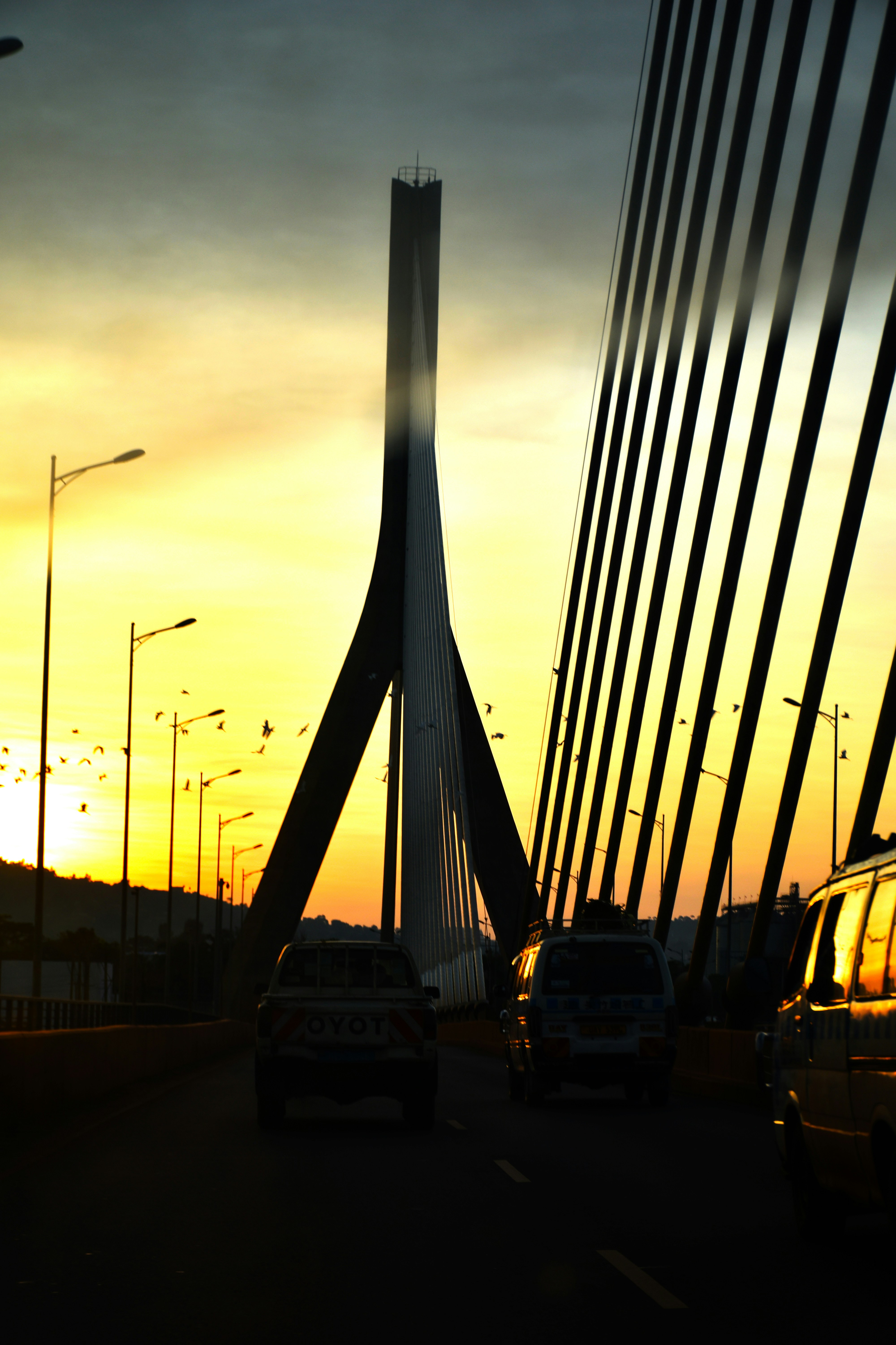 Golden Hour Pillar: The Quiet Power of a Cable-Stayed Bridge at Sunset