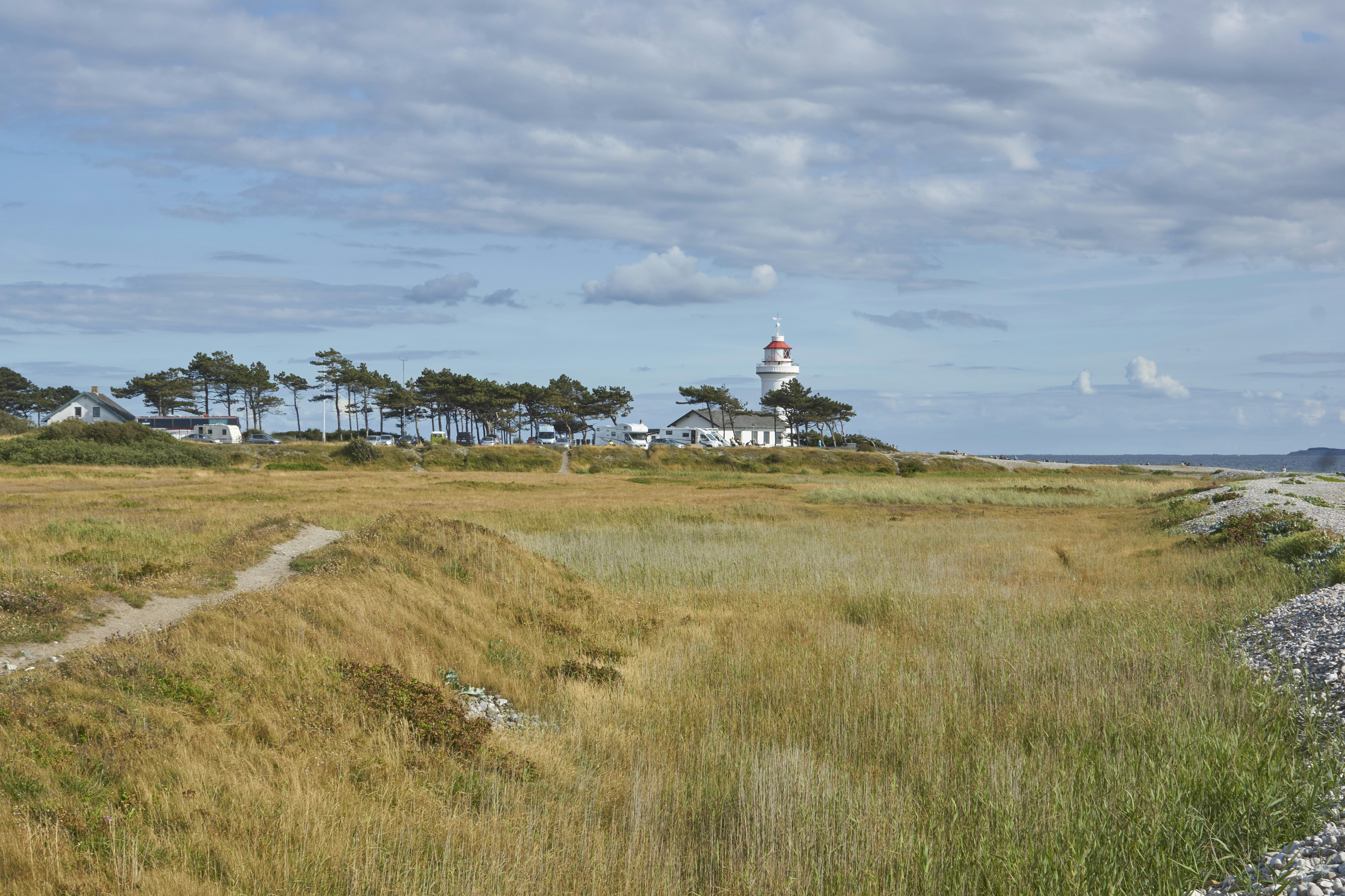 Beacon on the Dune: A Coastal Marsh Reaching Toward a Lone Lighthouse