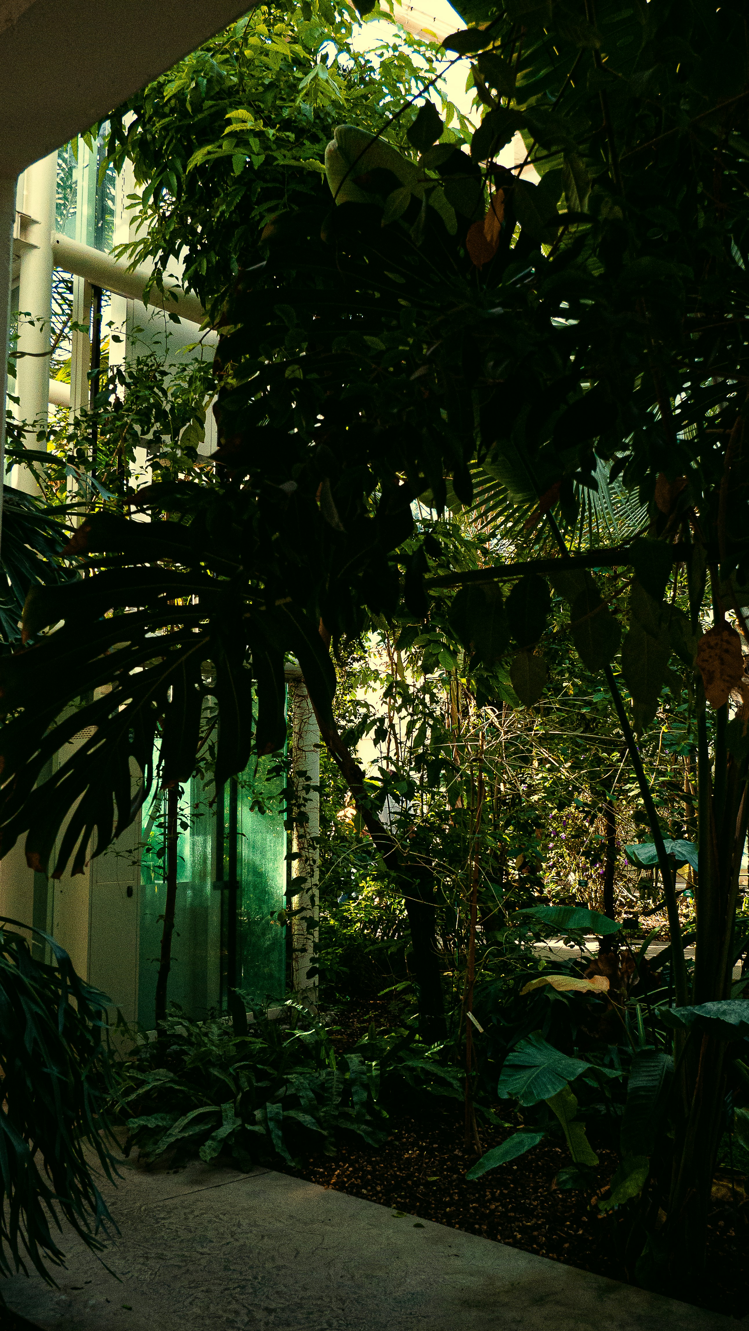 Kevin Suarez Pastor (@adom_xo) | Unsplash Photo Community