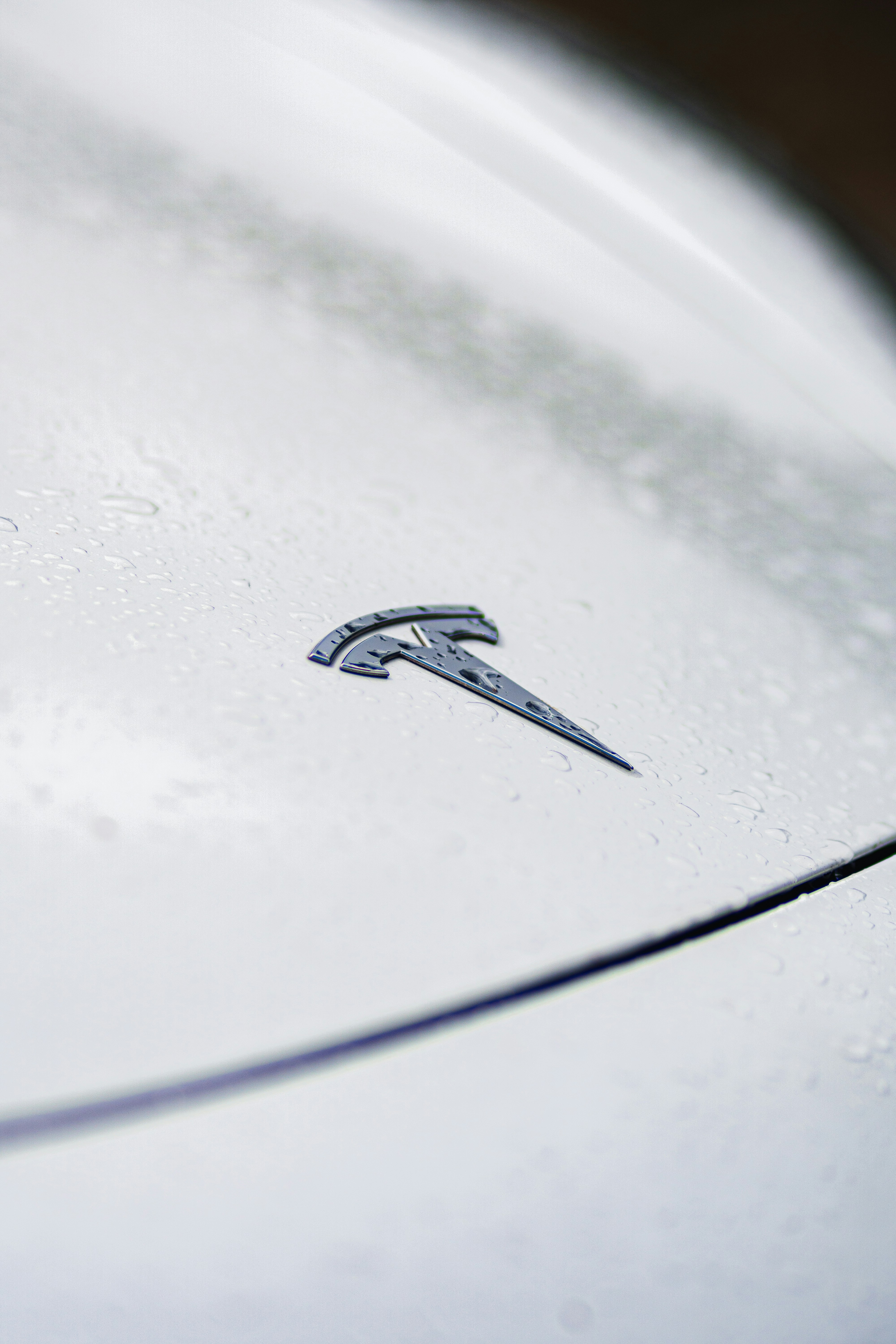 Emblem on Rain-Kissed Hood: A Tesla of Quiet Detail