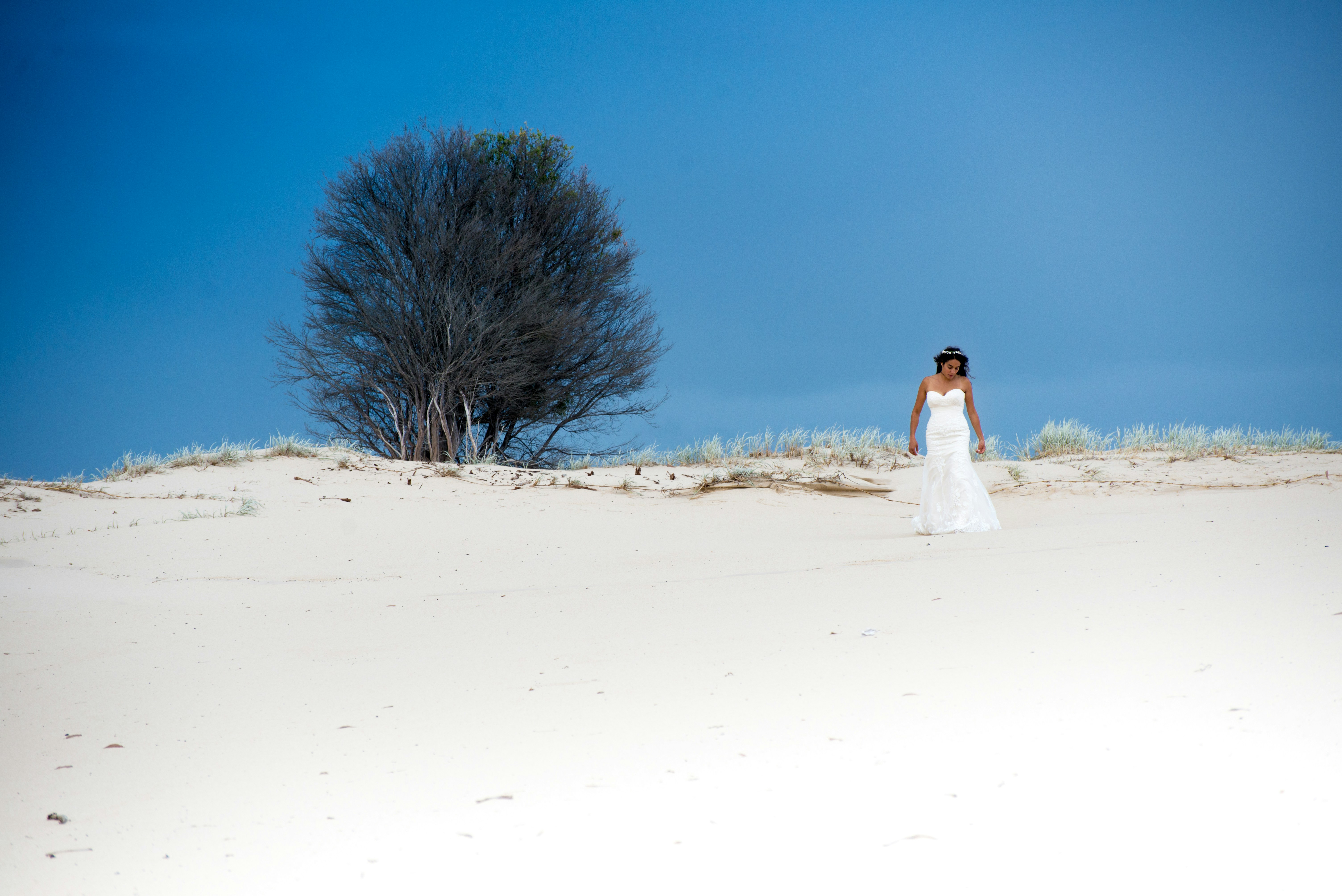 bride, sand, beach, wedding, marriage
couple
